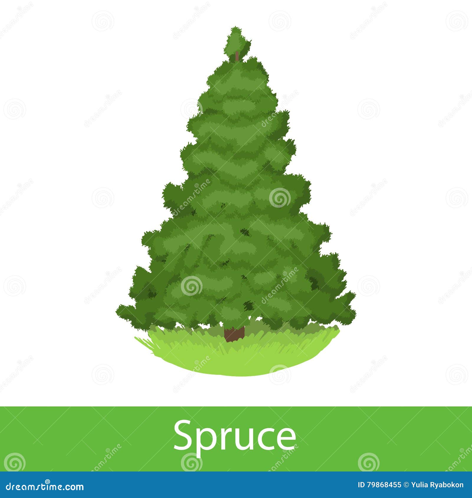 Spruce cartoon tree stock vector. Illustration of cartoon - 79868455