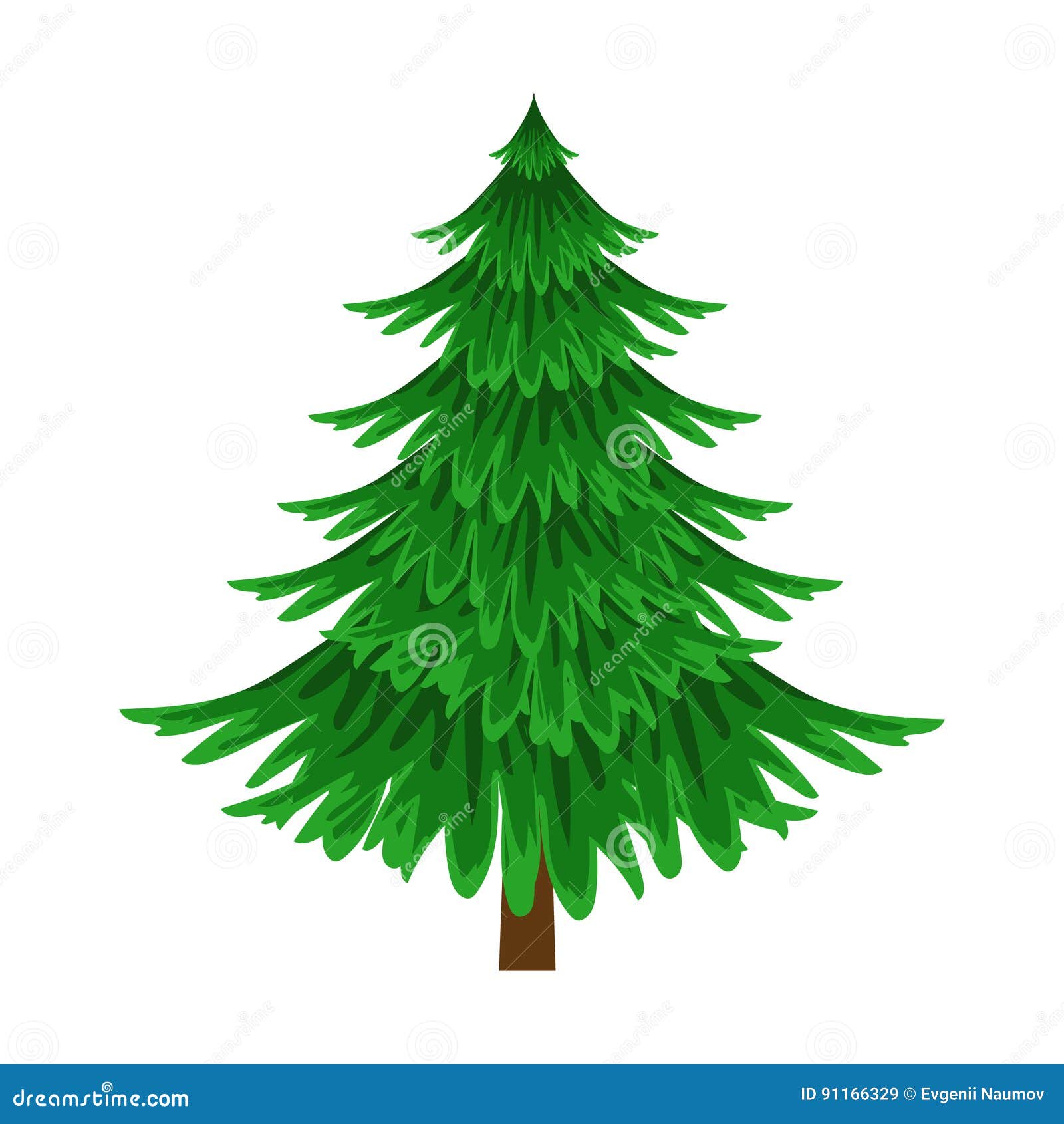 Spruce, Evergreen Tree, Element of a Landscape. Colorful Cartoon Vector ...