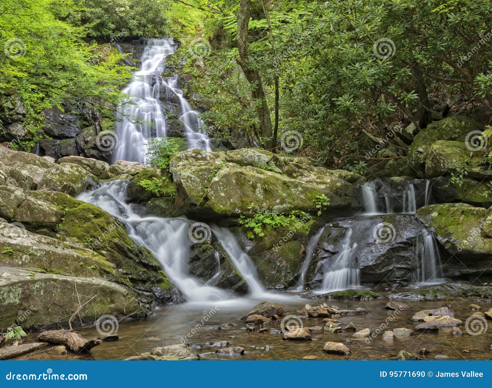 Spruce Flats Falls stock photo. Image of appalachian - 95771690
