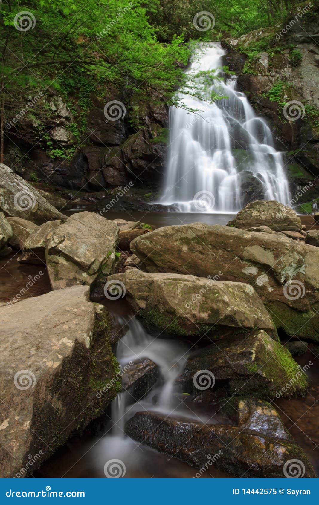 Spruce Flats Waterfall stock image. Image of tremont - 14442575