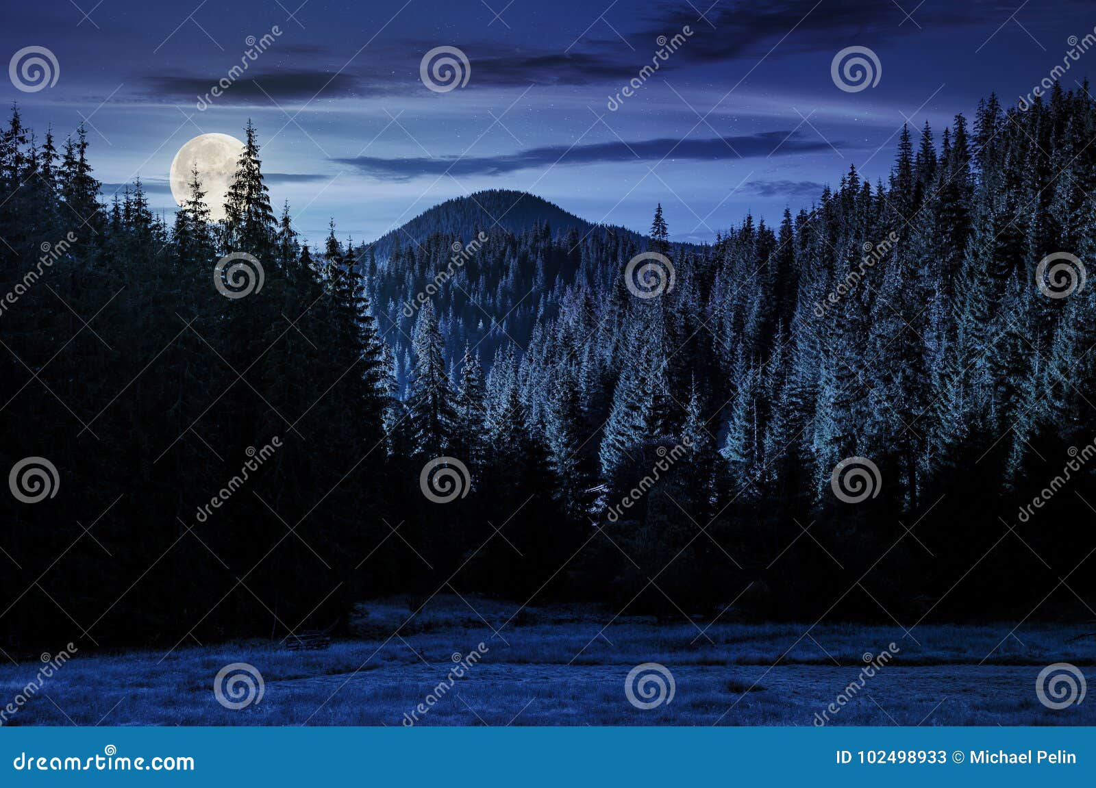 Spruce Forest in Mountains at Night Stock Image - Image of mountains ...