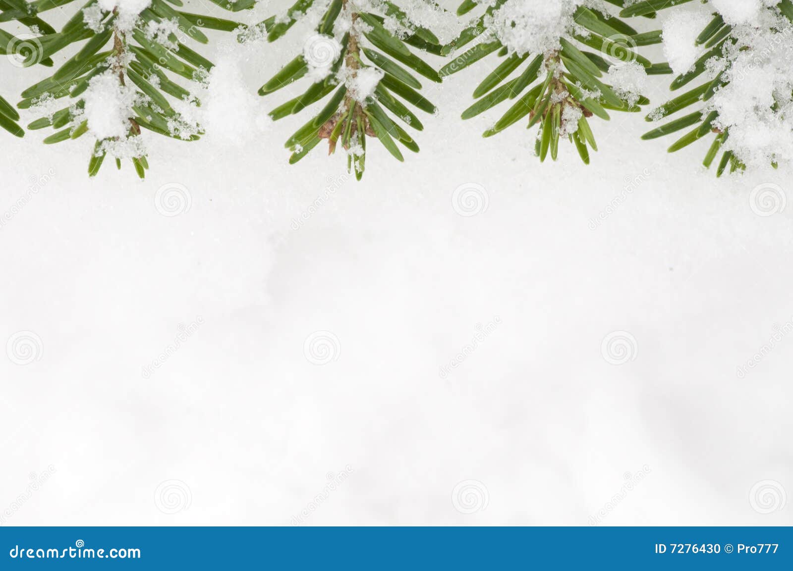 58,315 Spruce Frame Stock Photos - Free & Royalty-Free Stock Photos ...