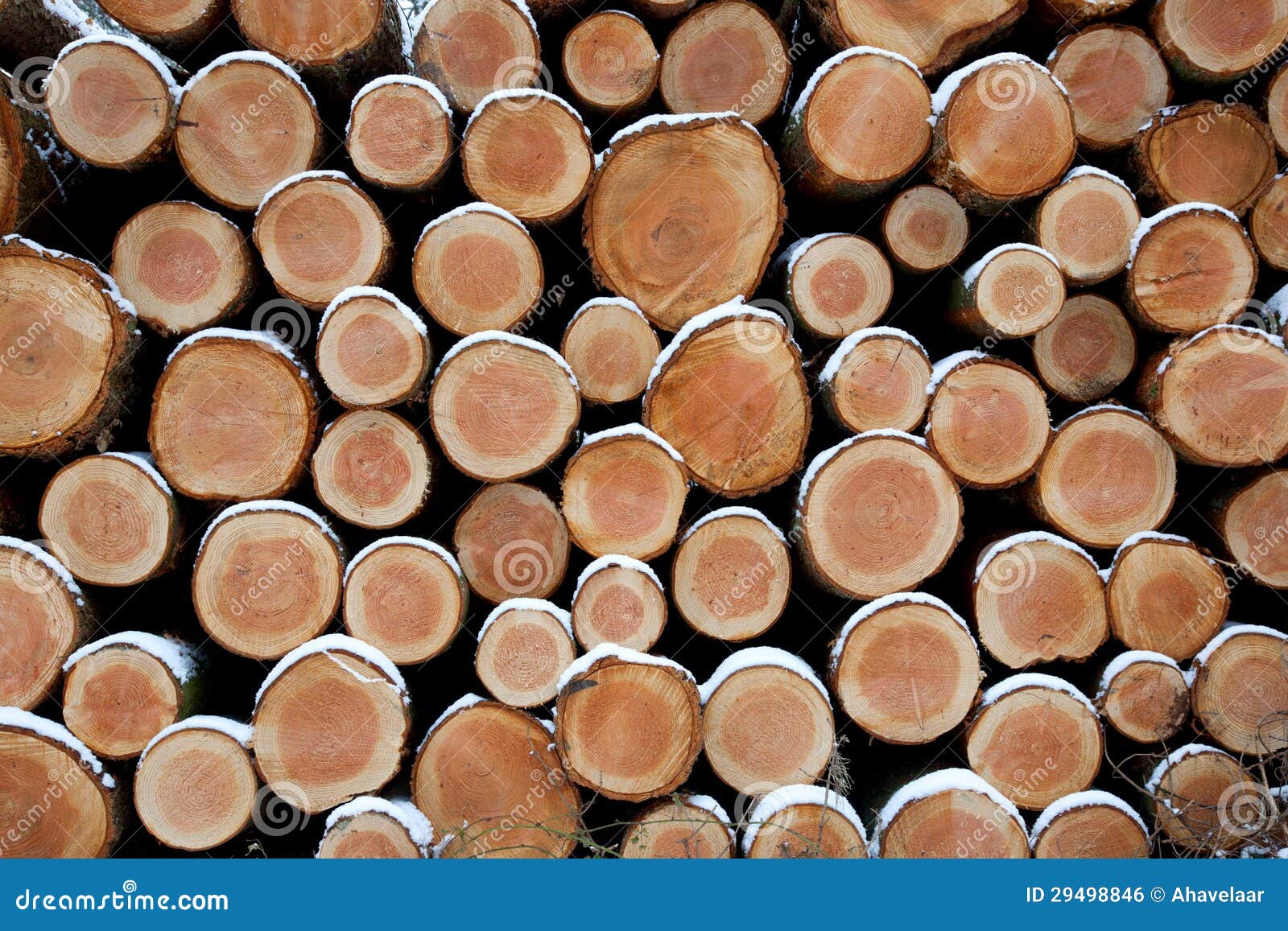 Spruce logs stock photo. Image of industry, energy, pine - 29498846