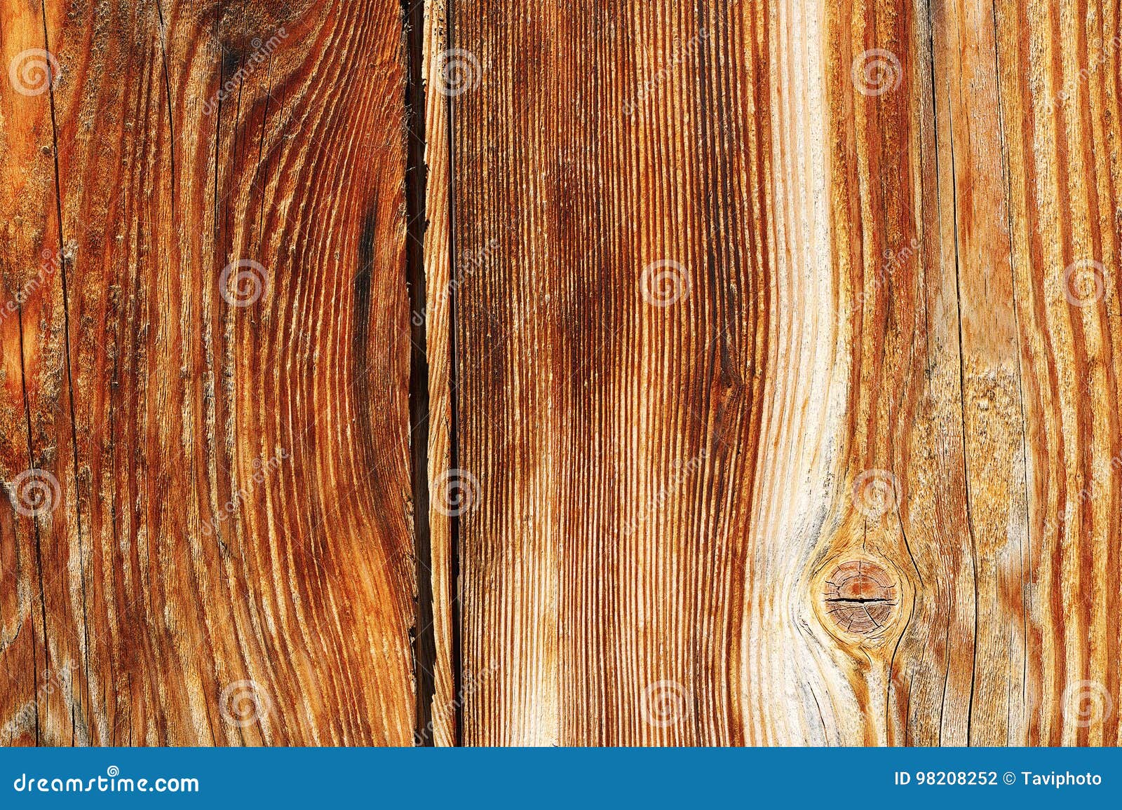 Spruce plank texture stock photo. Image of parquet, pine - 98208252