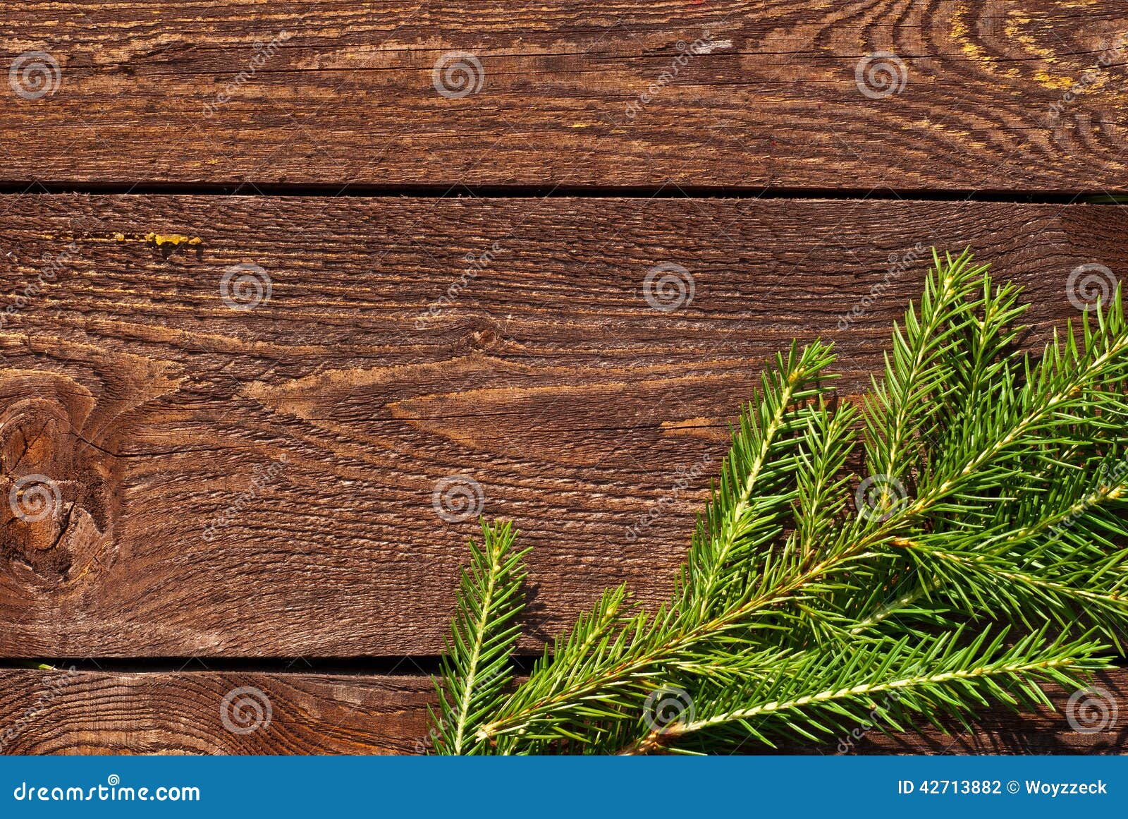 Spruce on planks stock photo. Image of decor, holiday - 42713882