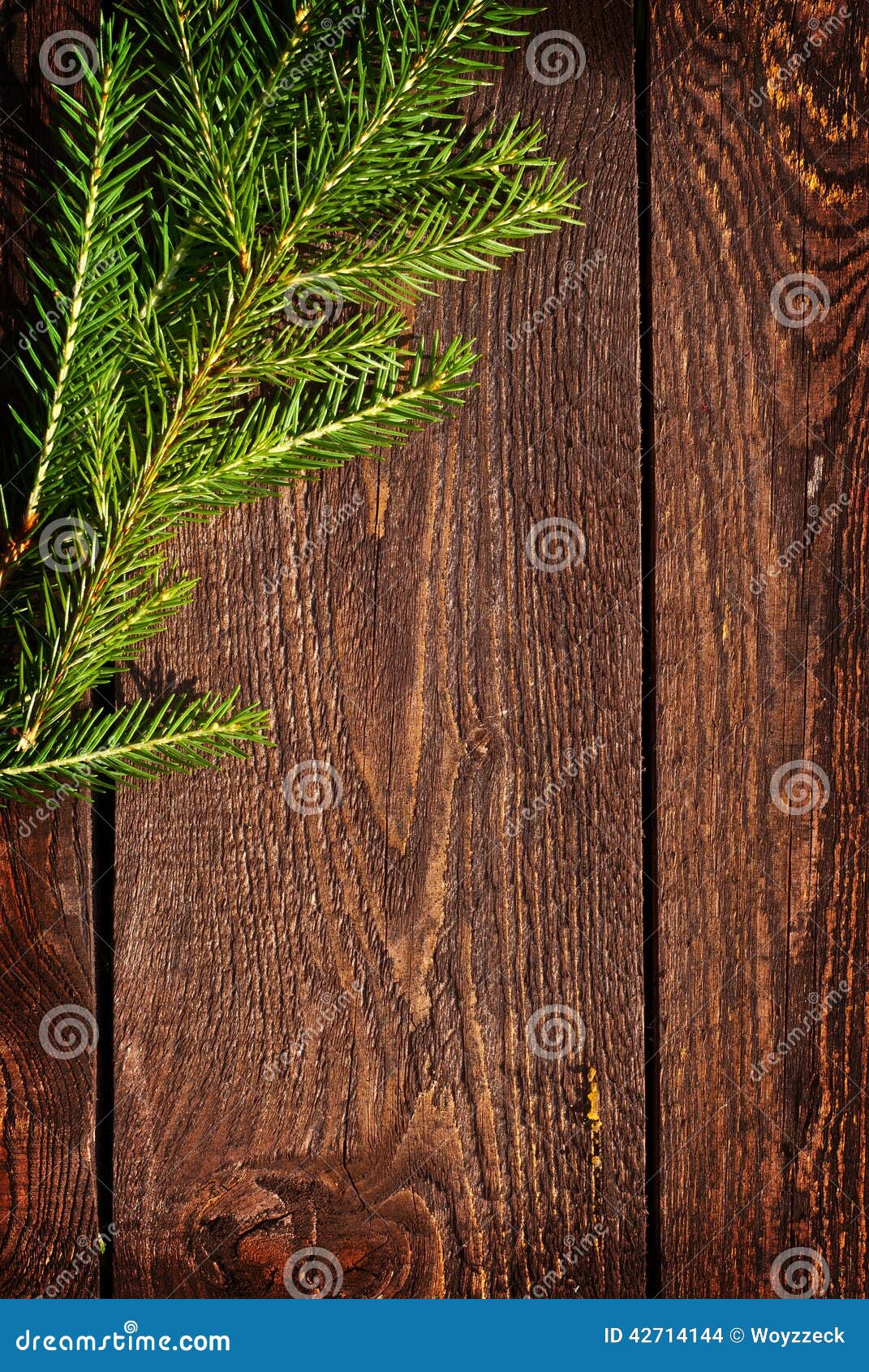 Spruce on planks stock photo. Image of table, pattern - 42714144