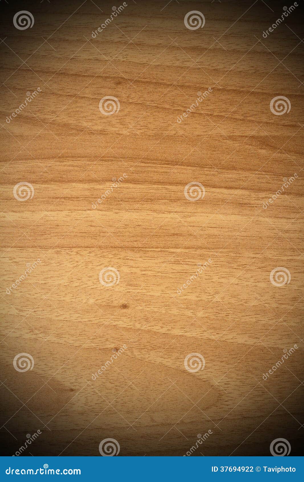Spruce Plywood Beige Texture Stock Photo - Image of nature, floor: 37694922