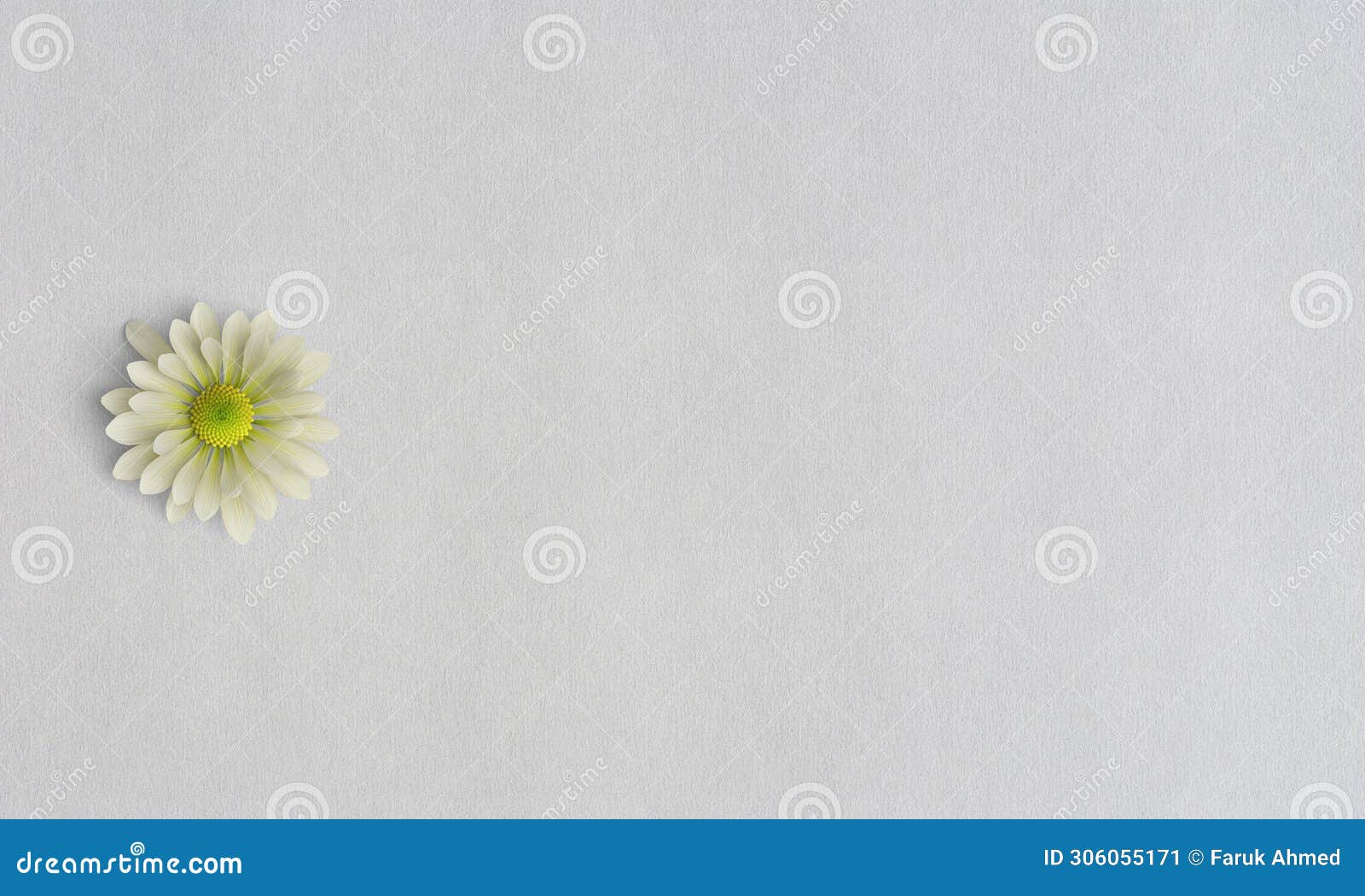 Spruce Splendor White Paper Texture Wallpaper Stock Image - Image of ...