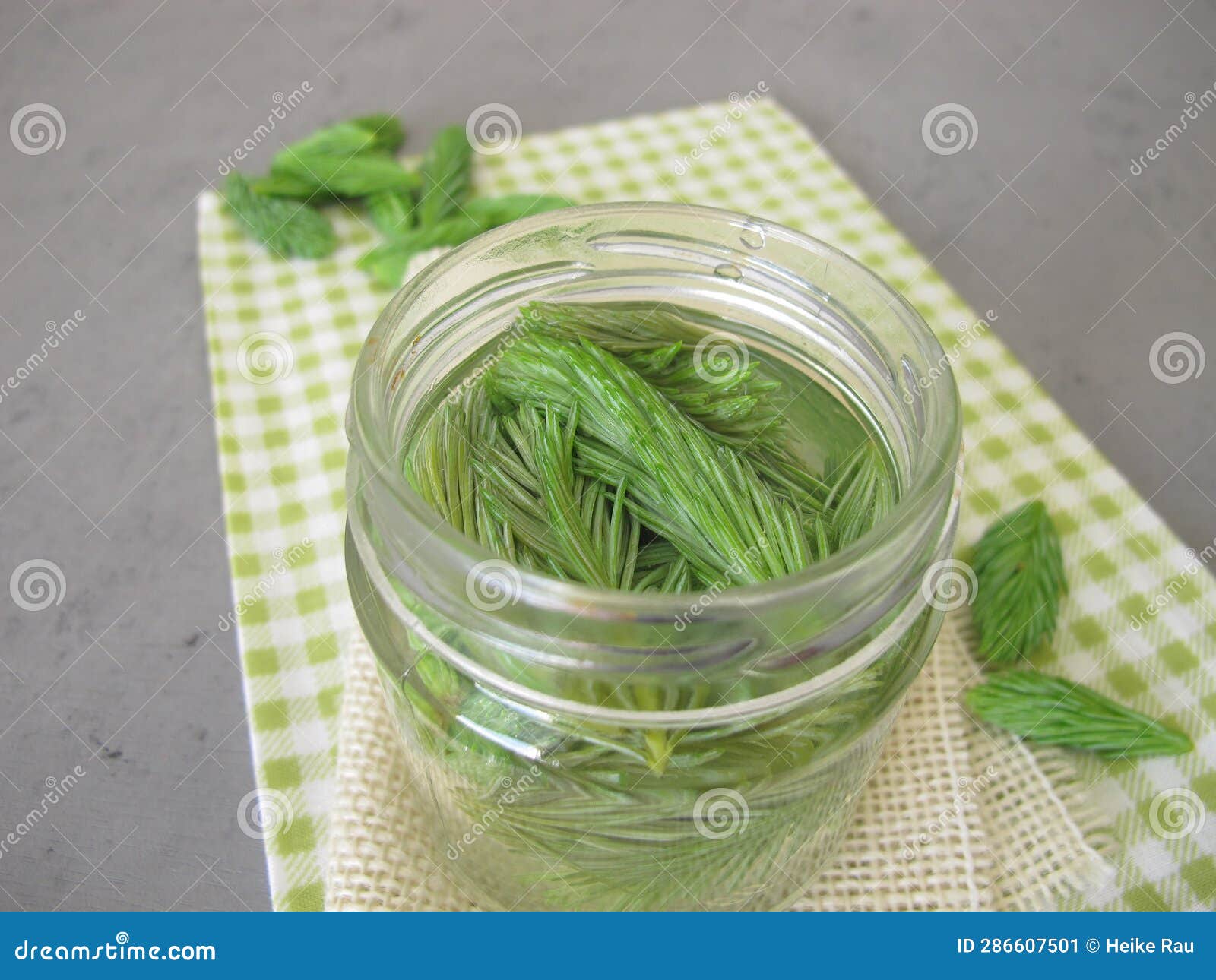 Spruce tips extract stock image. Image of extract, buds - 286607501
