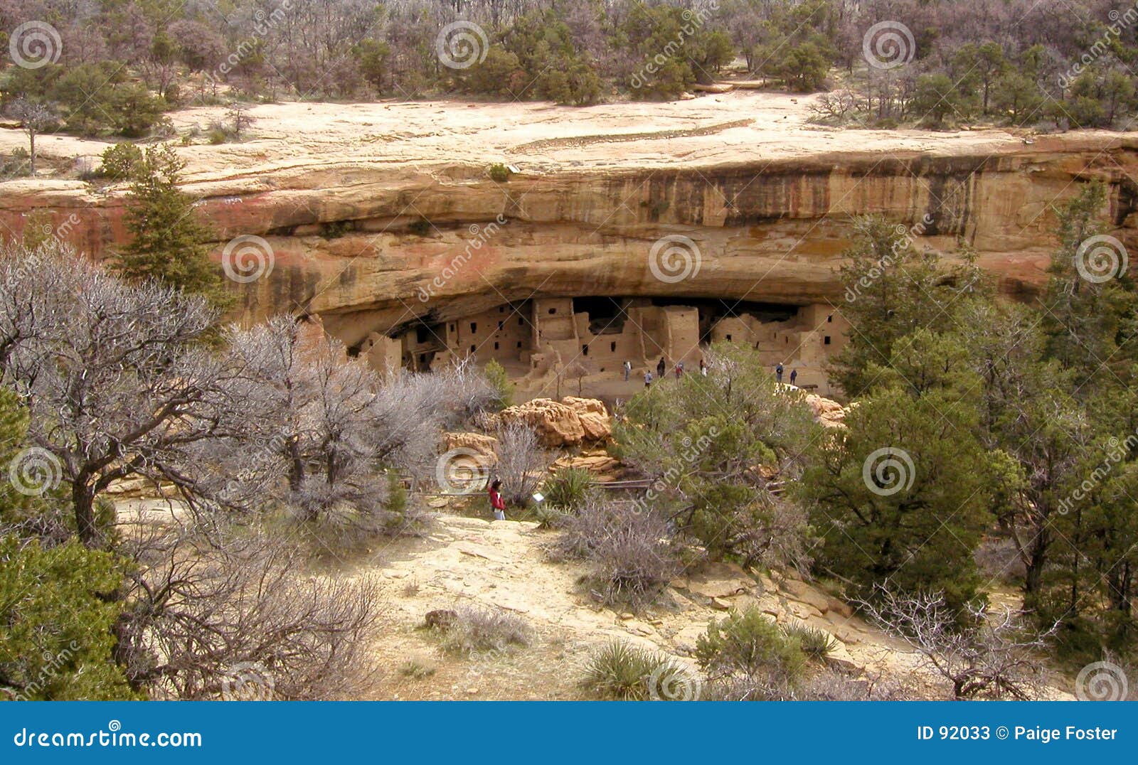 Spruce Tree House at Mesa Verde Stock Image - Image of cliff, american ...
