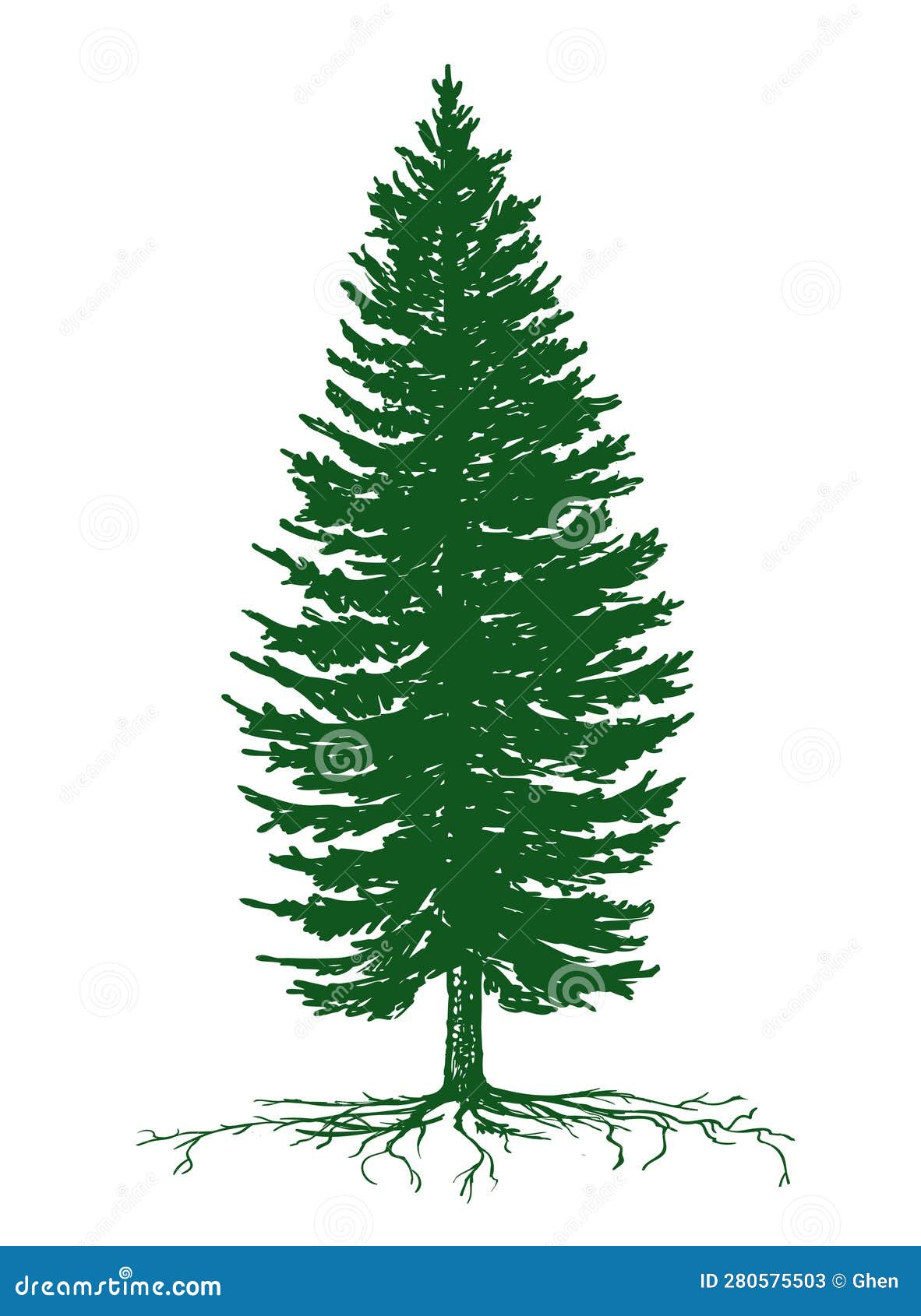 Spruce Tree with Roots Vector Illustration, Green Color Single Tree ...