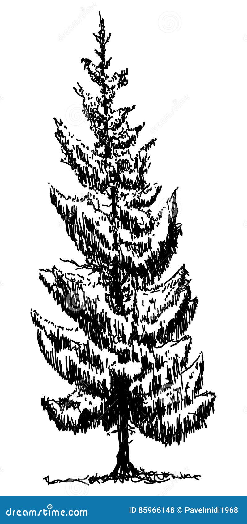 Spruce tree stock vector. Illustration of graphic, background - 85966148