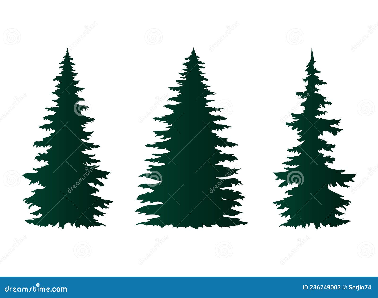 Spruce Trees Isolated on White Stock Vector - Illustration of needle ...