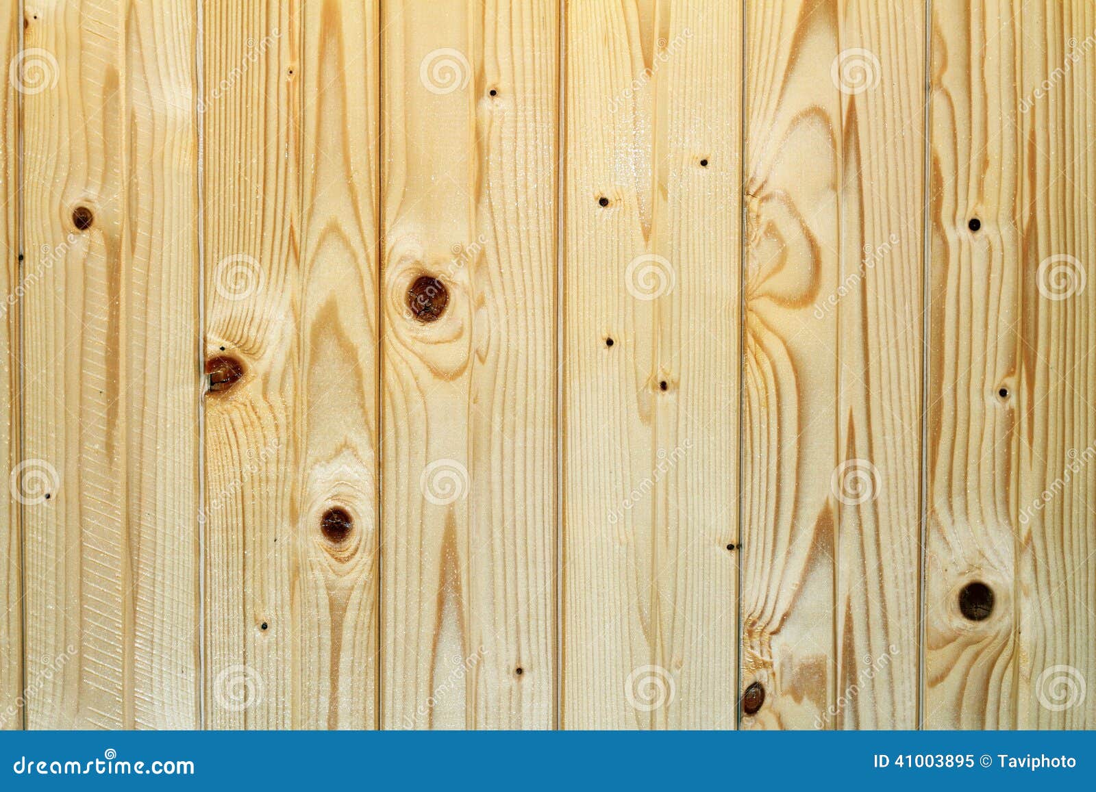 Spruce wainscot texture stock image. Image of parchment - 41003895
