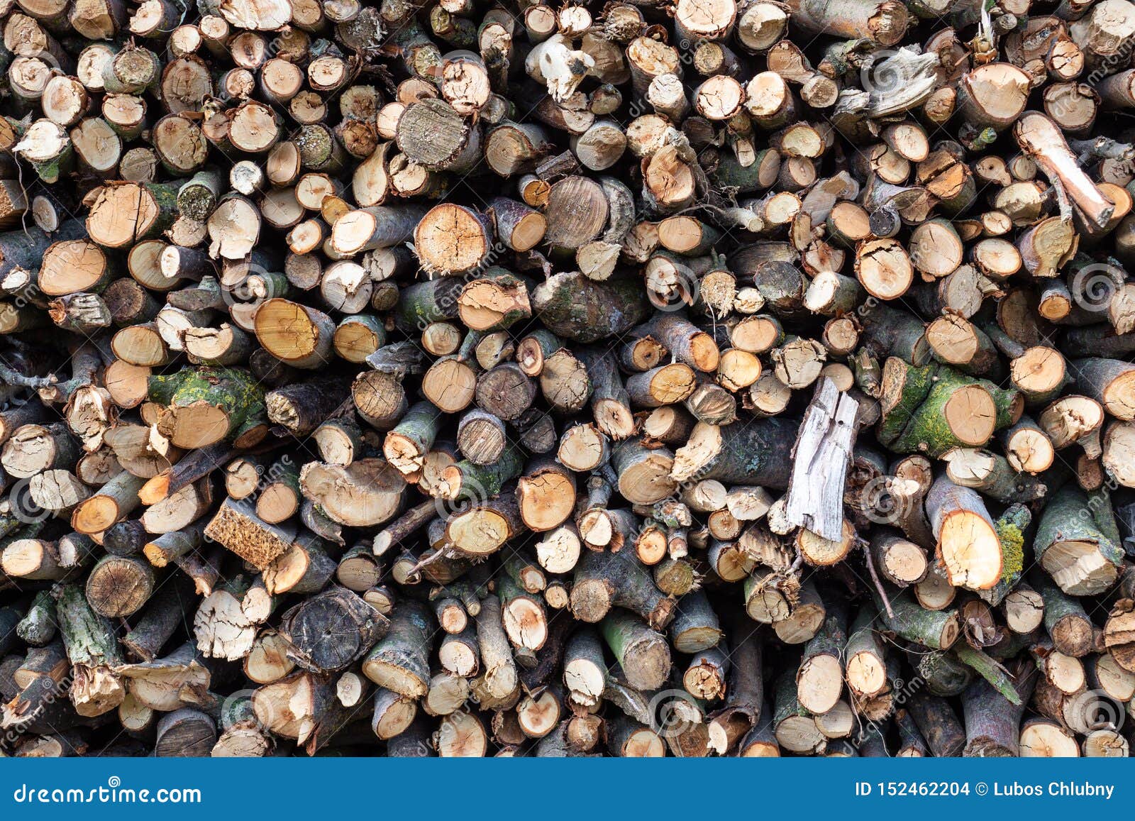 Spruce Wood in the Background. Firewood Stack Stock Photo - Image of ...