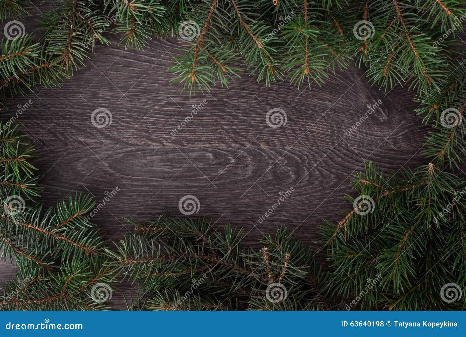 Spruce Wood on the Background Stock Photo - Image of rustic, seasons ...