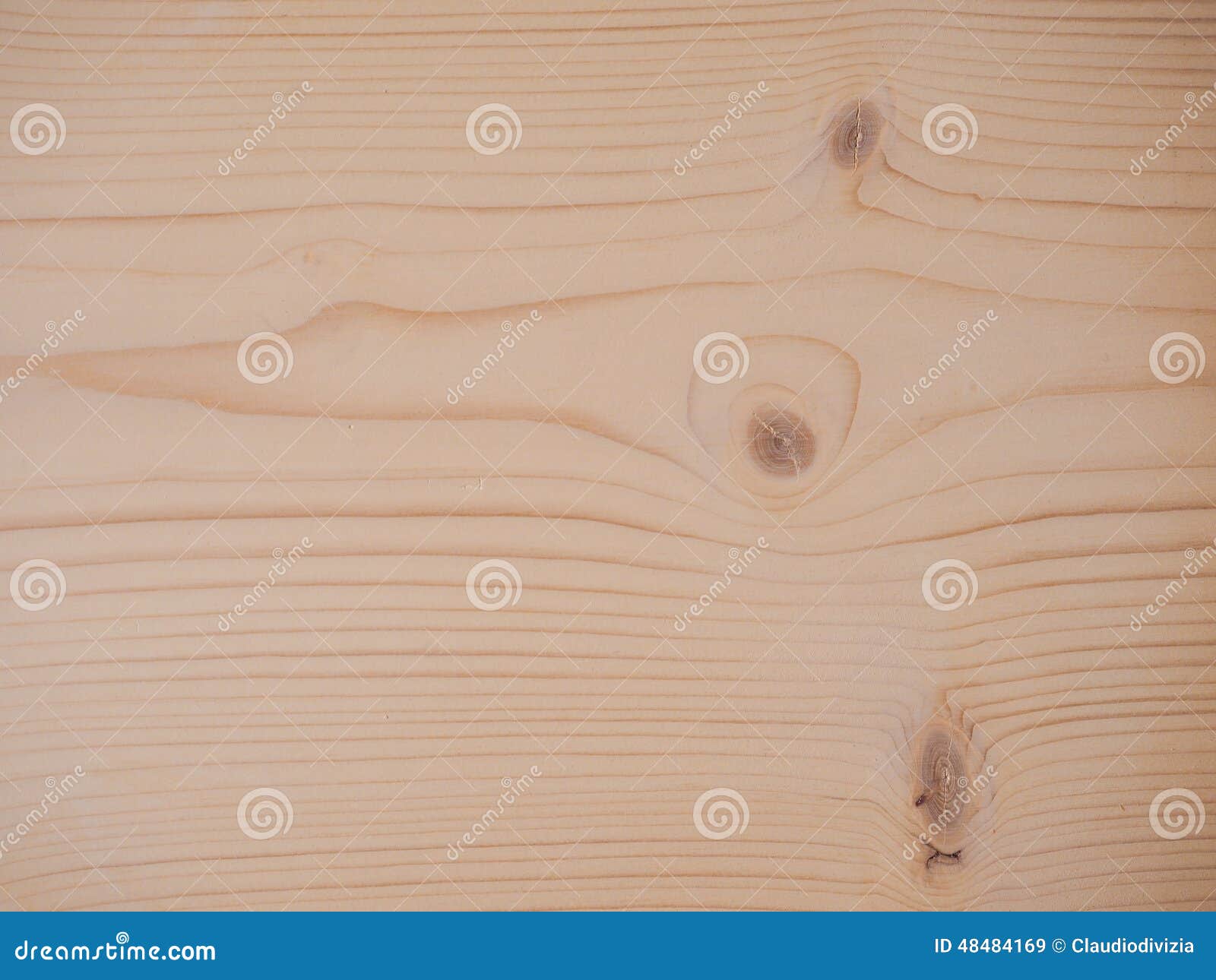 Spruce Wood Panorama Background Royalty-Free Stock Image ...