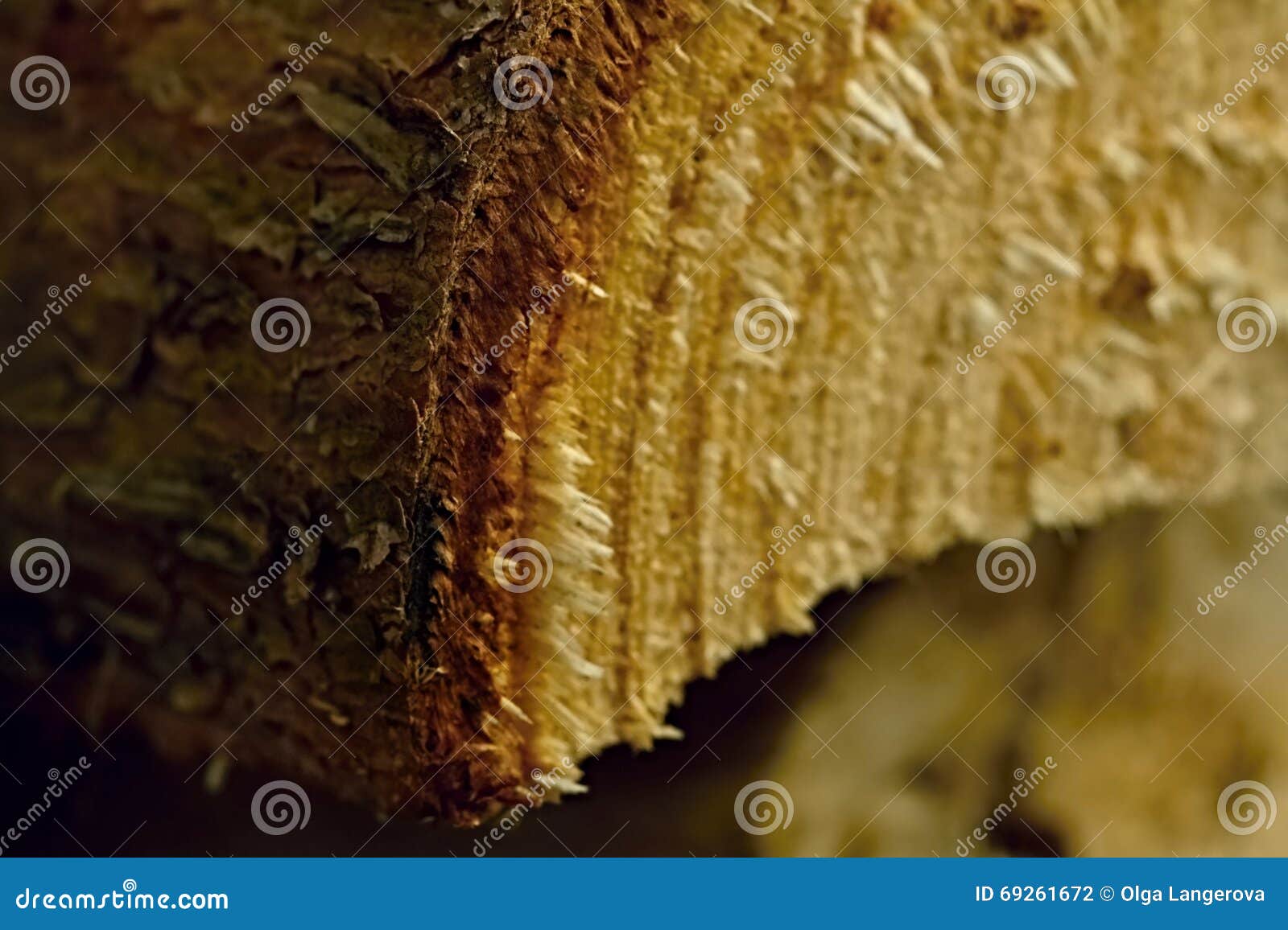 Spruce wood stock photo. Image of closeup, texture, material - 69261672
