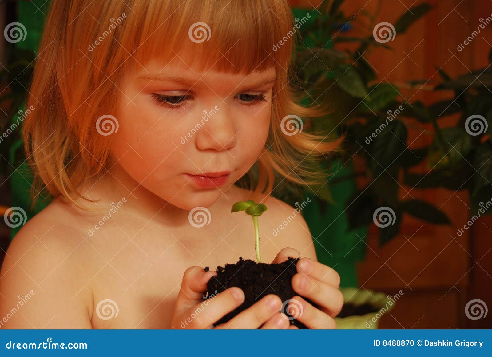 Spruit stock foto. Image of weinig, spruit, nave, meisje - 8488870