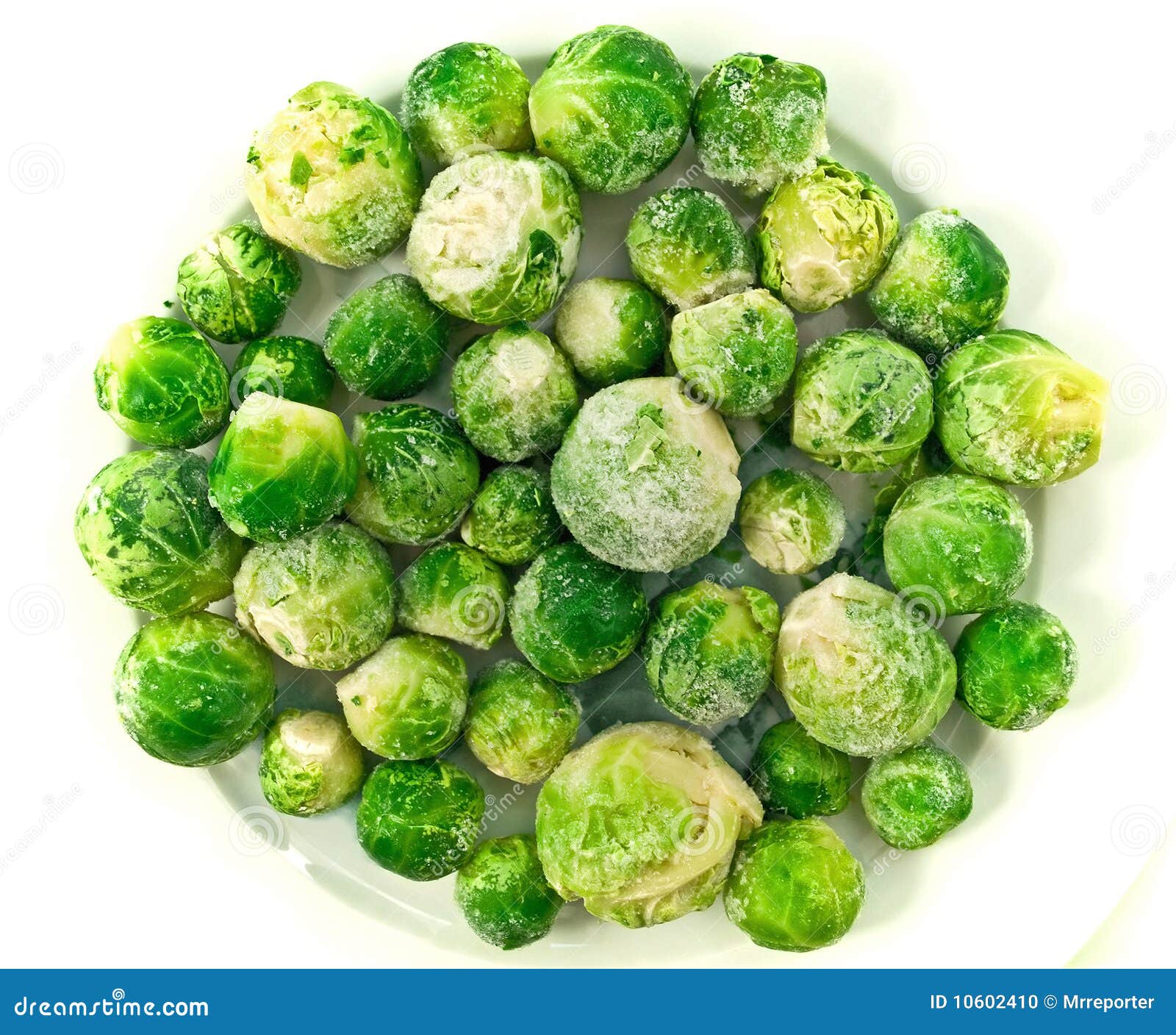 Spruitjes stock foto. Image of kool, vers, cole, tuin - 10602410