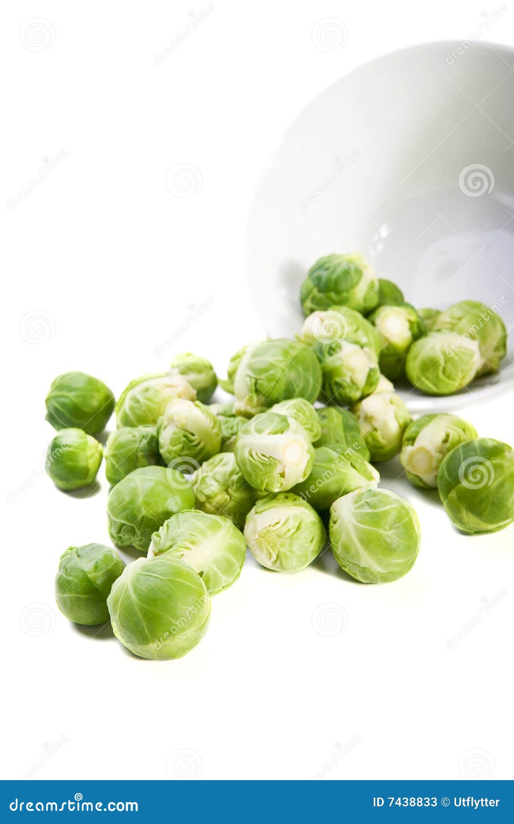 Spruitjes En Plaat Op Witte Achtergrond Stock Afbeelding - Image of ...