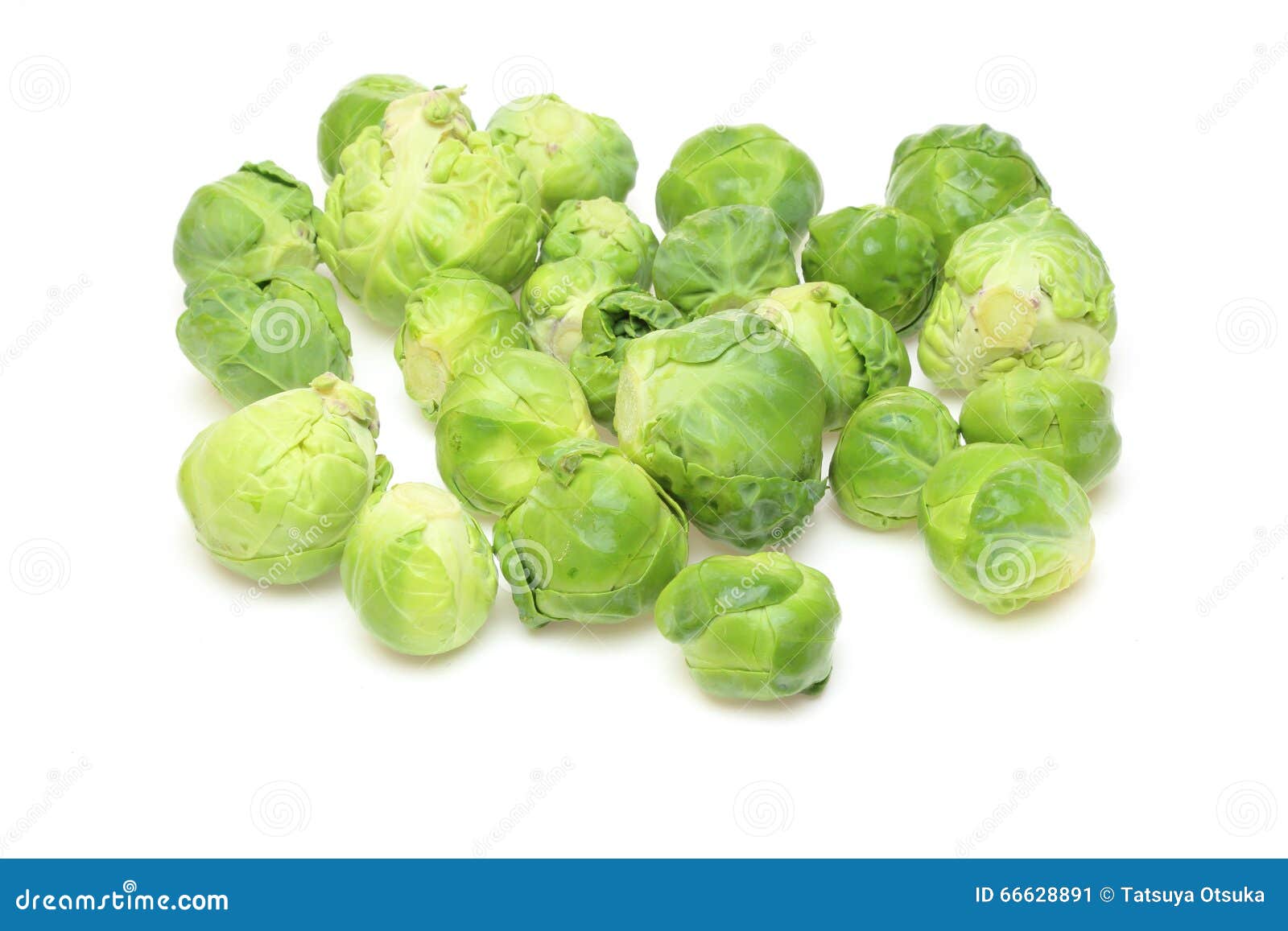 Spruitjes Op Een Witte Achtergrond Stock Afbeelding - Image of binnen ...