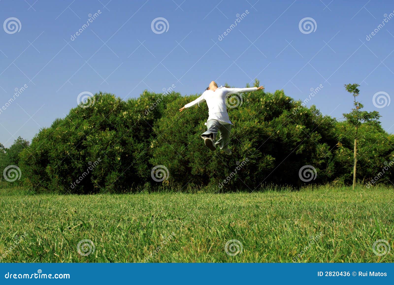 Sprung stockfoto. Bild von dynamisch, gras, aufregung - 2820436