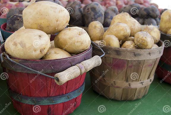 Spuds stock photo. Image of heap, market, vivid, agriculture - 10457602