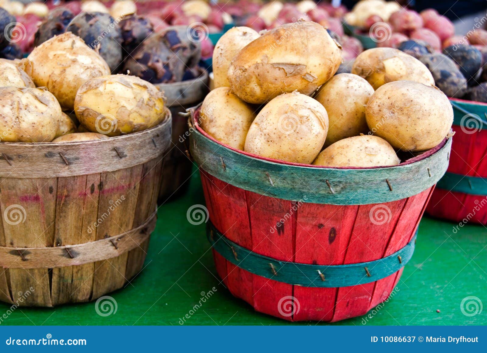 Spuds in a Basket stock image. Image of harvest, blend - 10086637