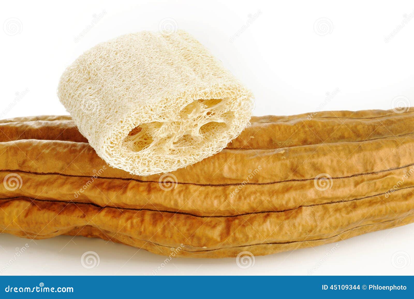 Spugna Naturale Della Luffa Fotografia Stock - Immagine di salute ...