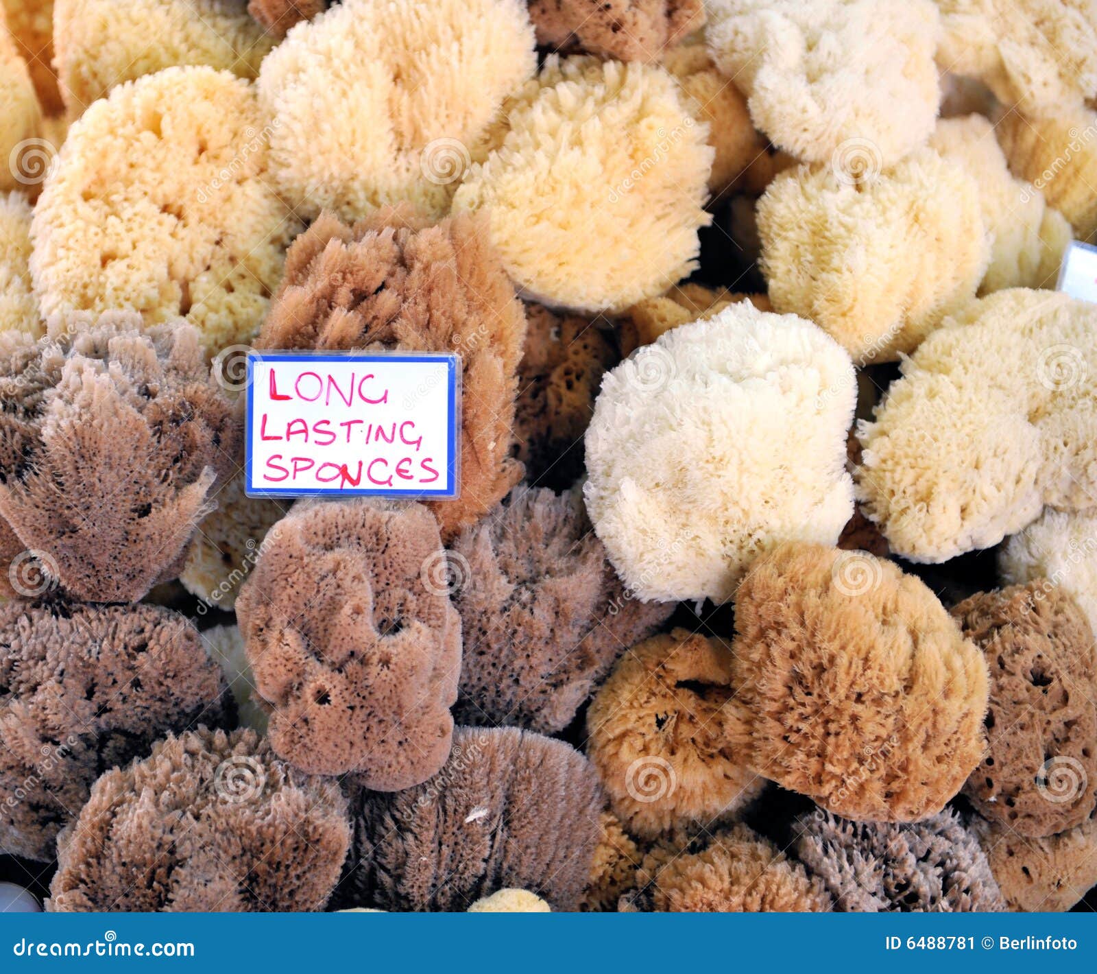 Spugne naturali immagine stock. Immagine di beige, nave - 6488781