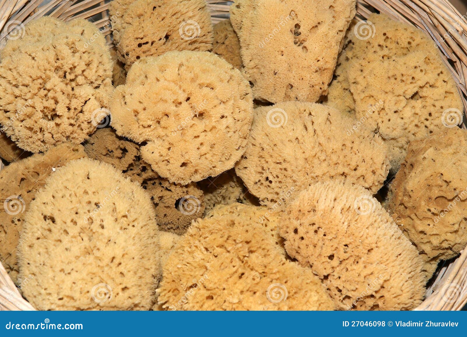 Spugne naturali del bagno fotografia stock. Immagine di nave - 27046098