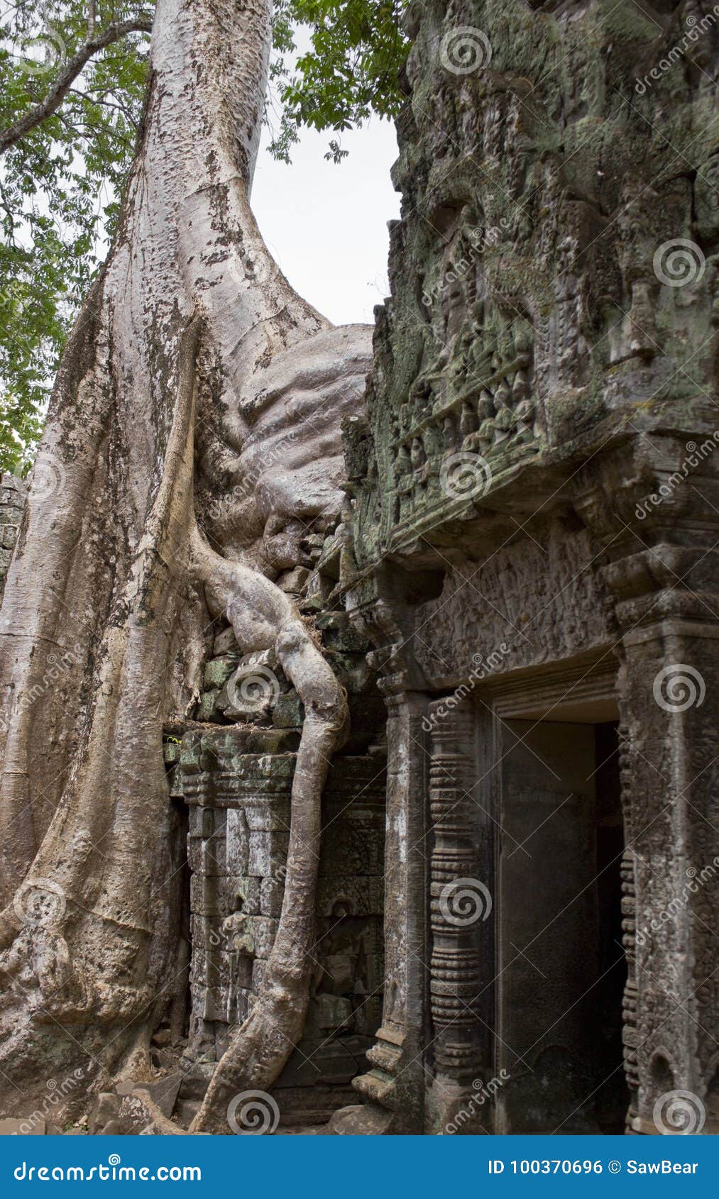 Spung Tree Overgrowth stock photo. Image of monument - 100370696