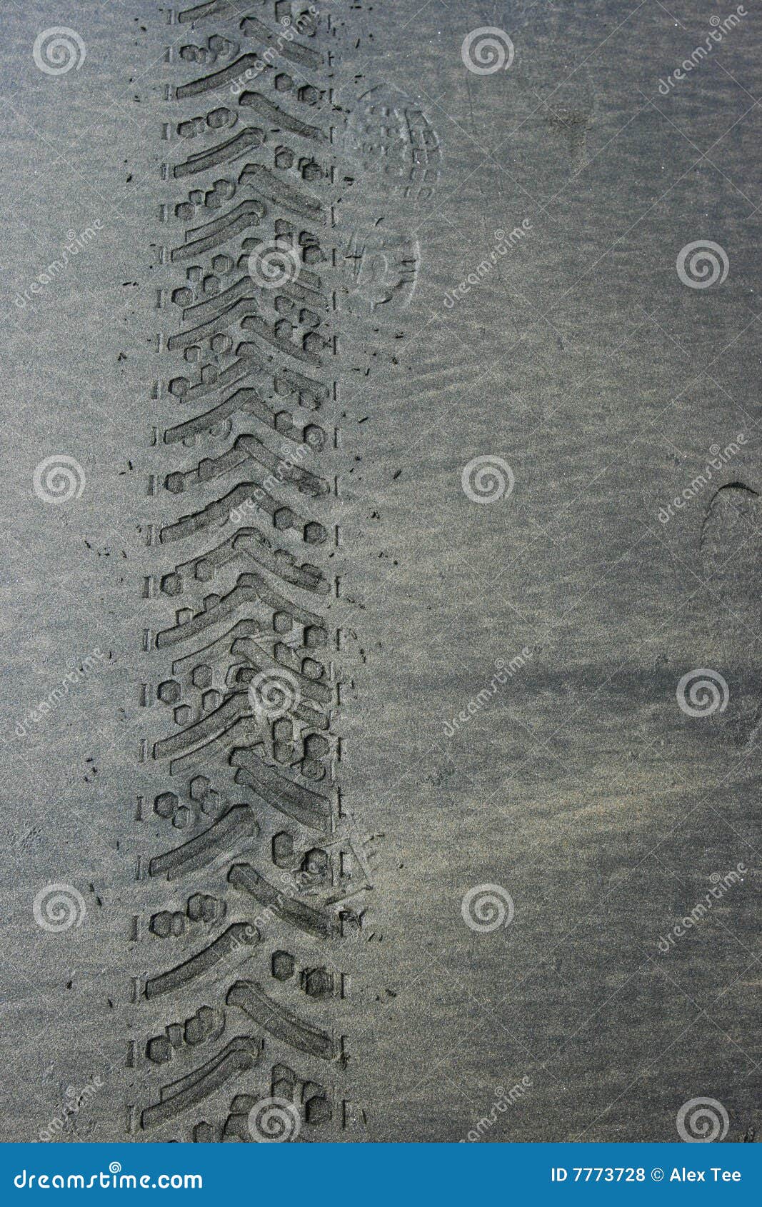 Spur des Reifens 4WD stockfoto. Bild von schwarzes, sand - 7773728