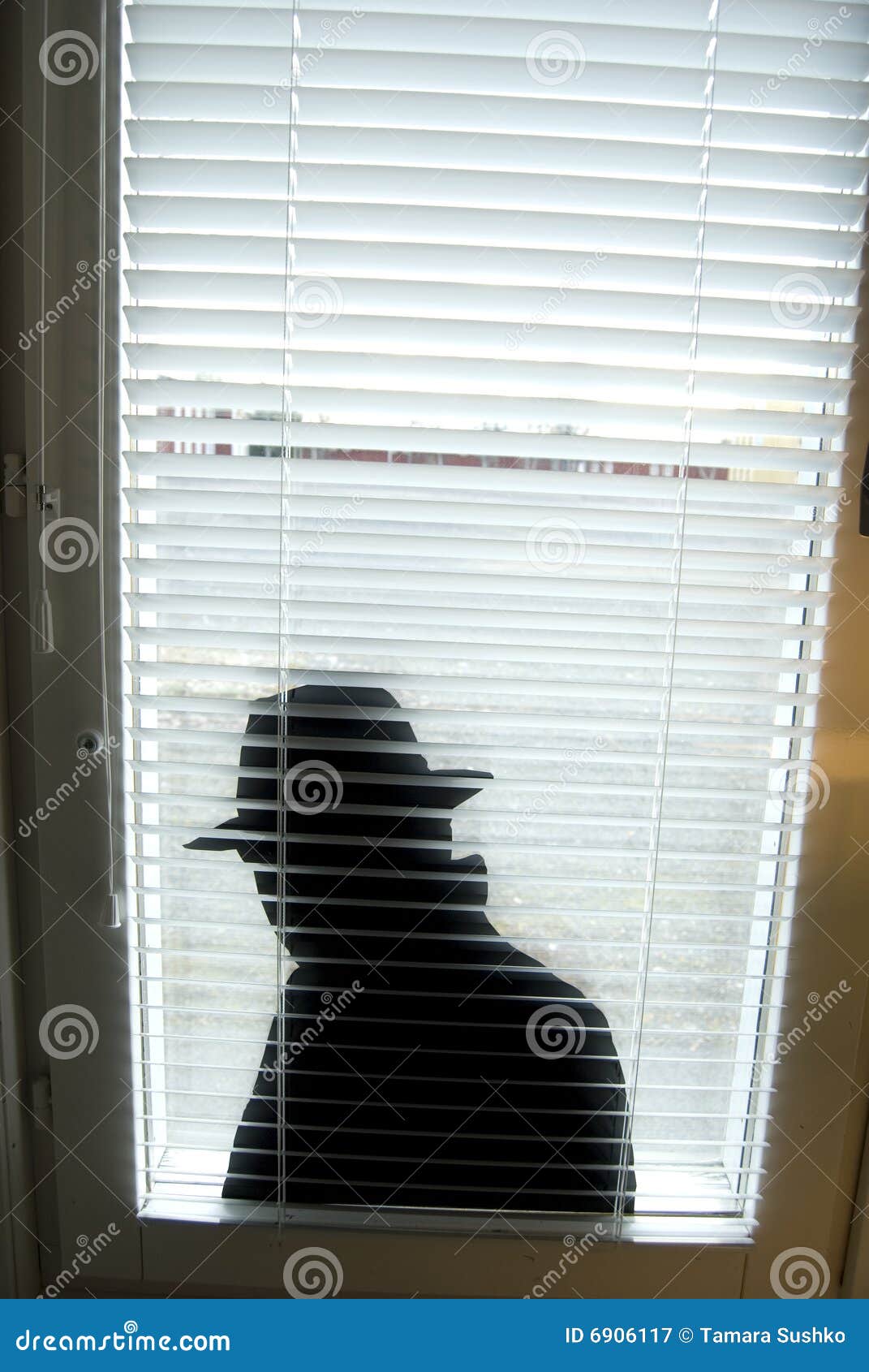 Spy stock image. Image of hear, people, concentration - 6906117