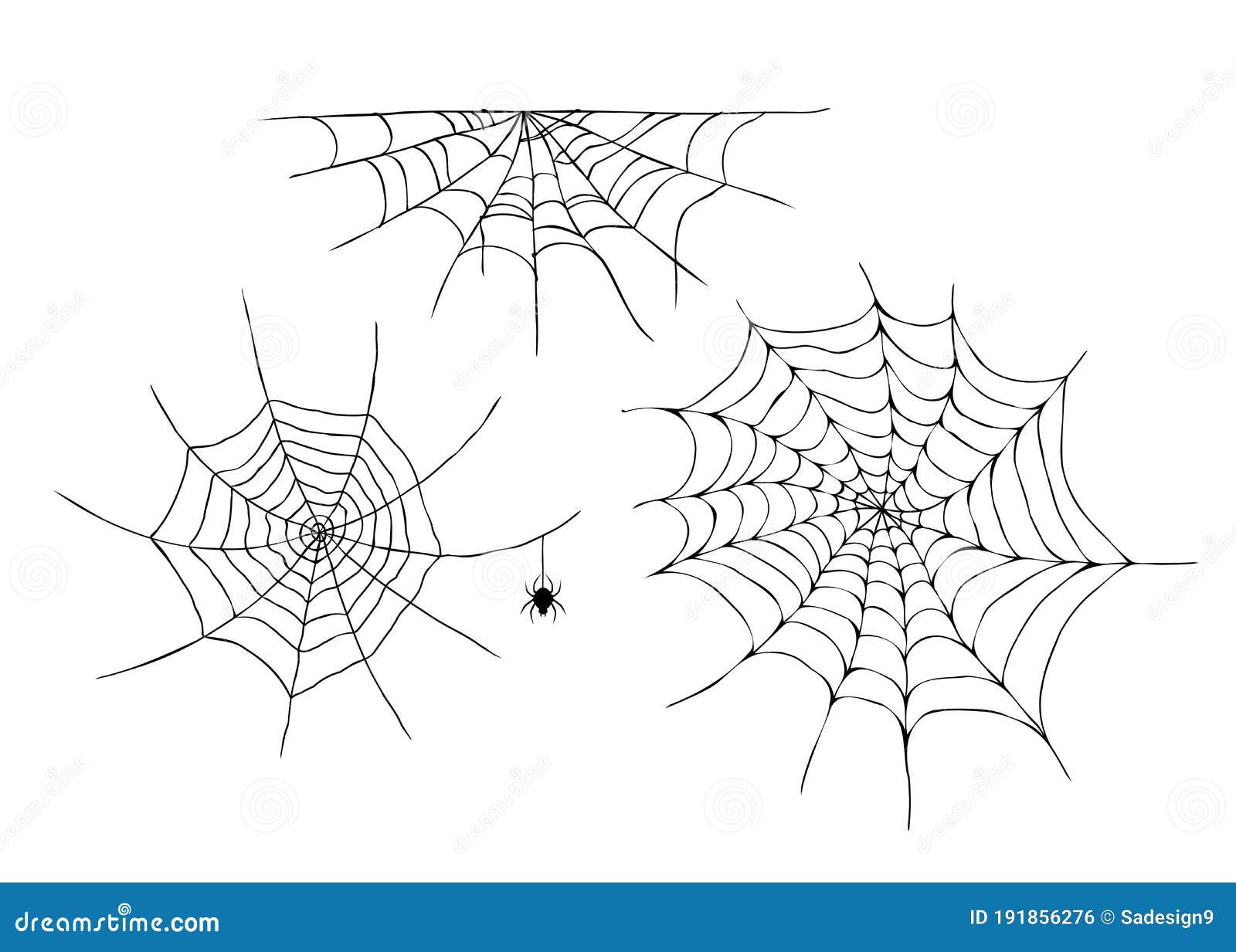 Hand Drawn Spider Web and Spider Isolated on White Background. Stock ...
