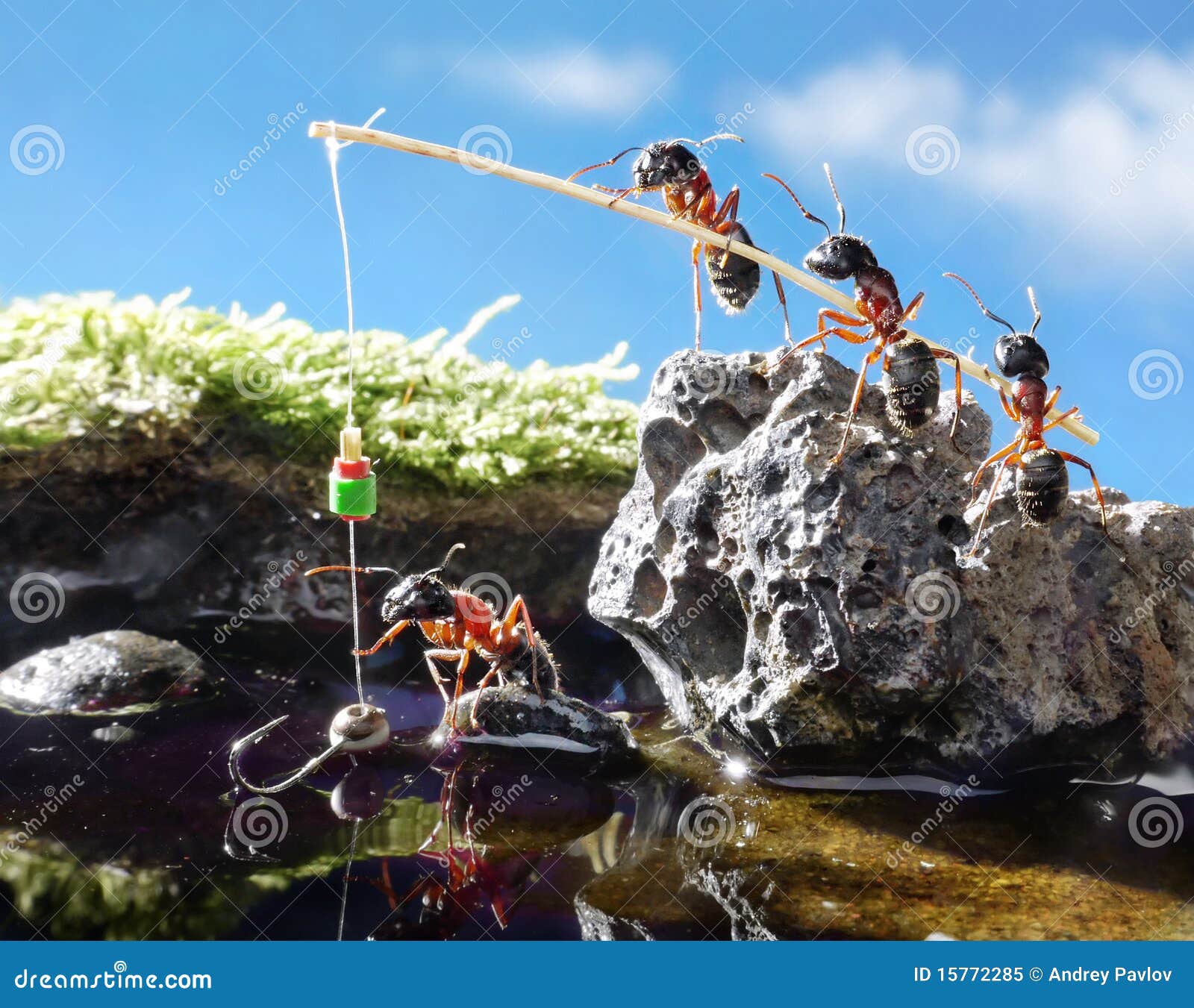 Squadra Di Formiche Che Pescano Con L'asta Immagine Stock - Immagine di ...