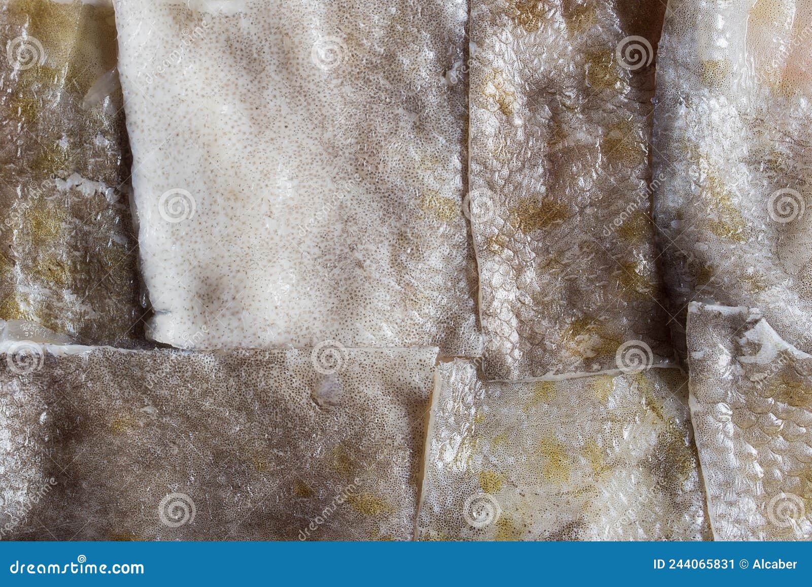 A Squama Texture of Several Raw Cod Fillets. Stock Image - Image of ...