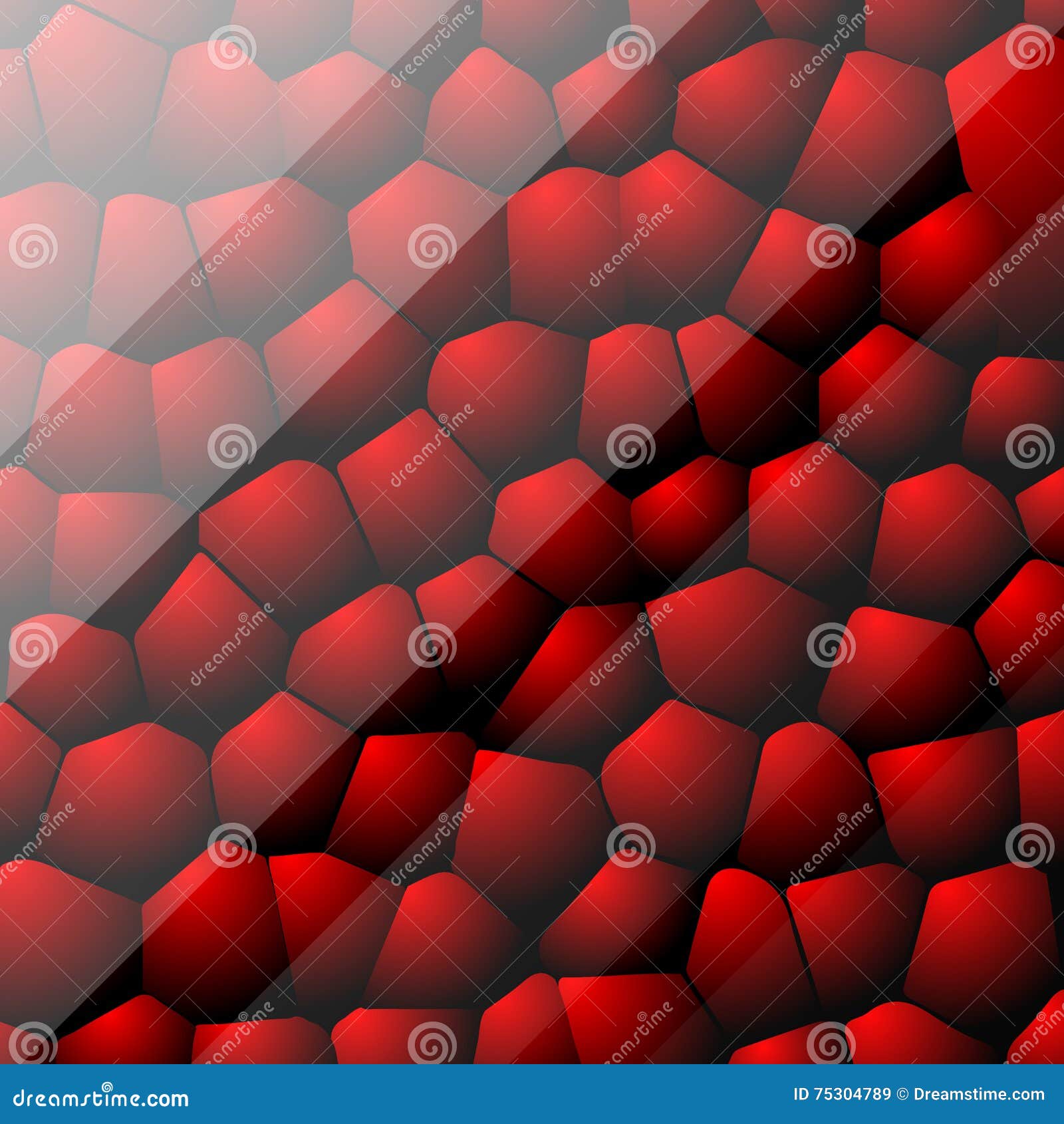 Squama under glass stock vector. Illustration of design - 75304789