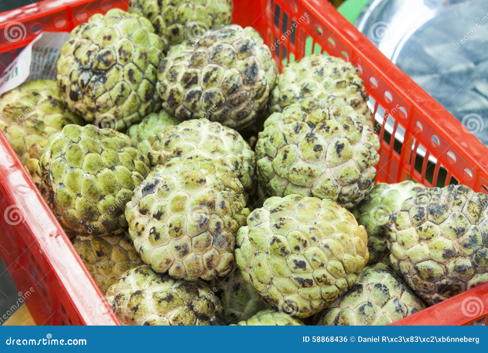 Squamosa Del Annona De Las Anonas Foto de archivo - Imagen de coma ...