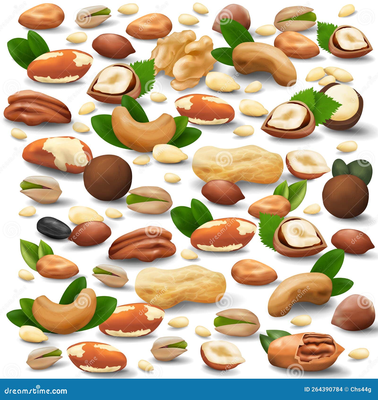 15 Nuts Icons - This Collection Includes Illustrated Types Of Nuts With ...
