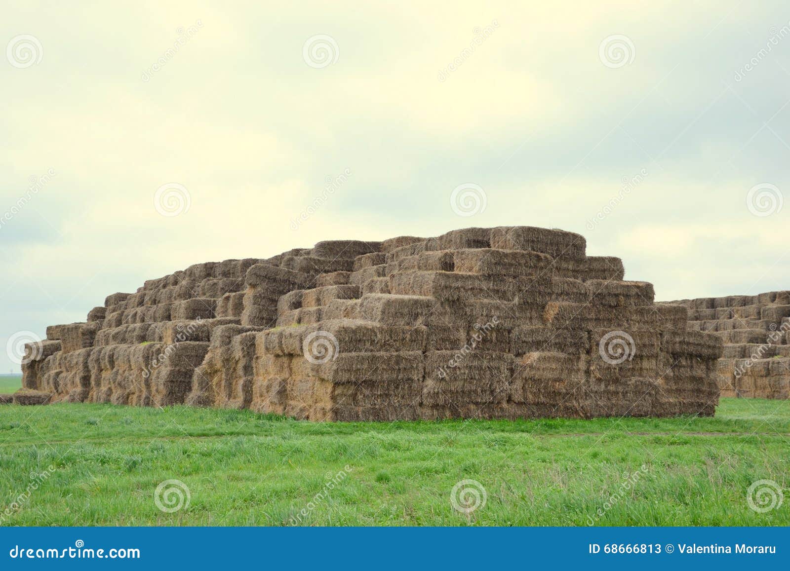 Square Hay Bales Stacked Up Royalty-Free Stock Photo | CartoonDealer ...