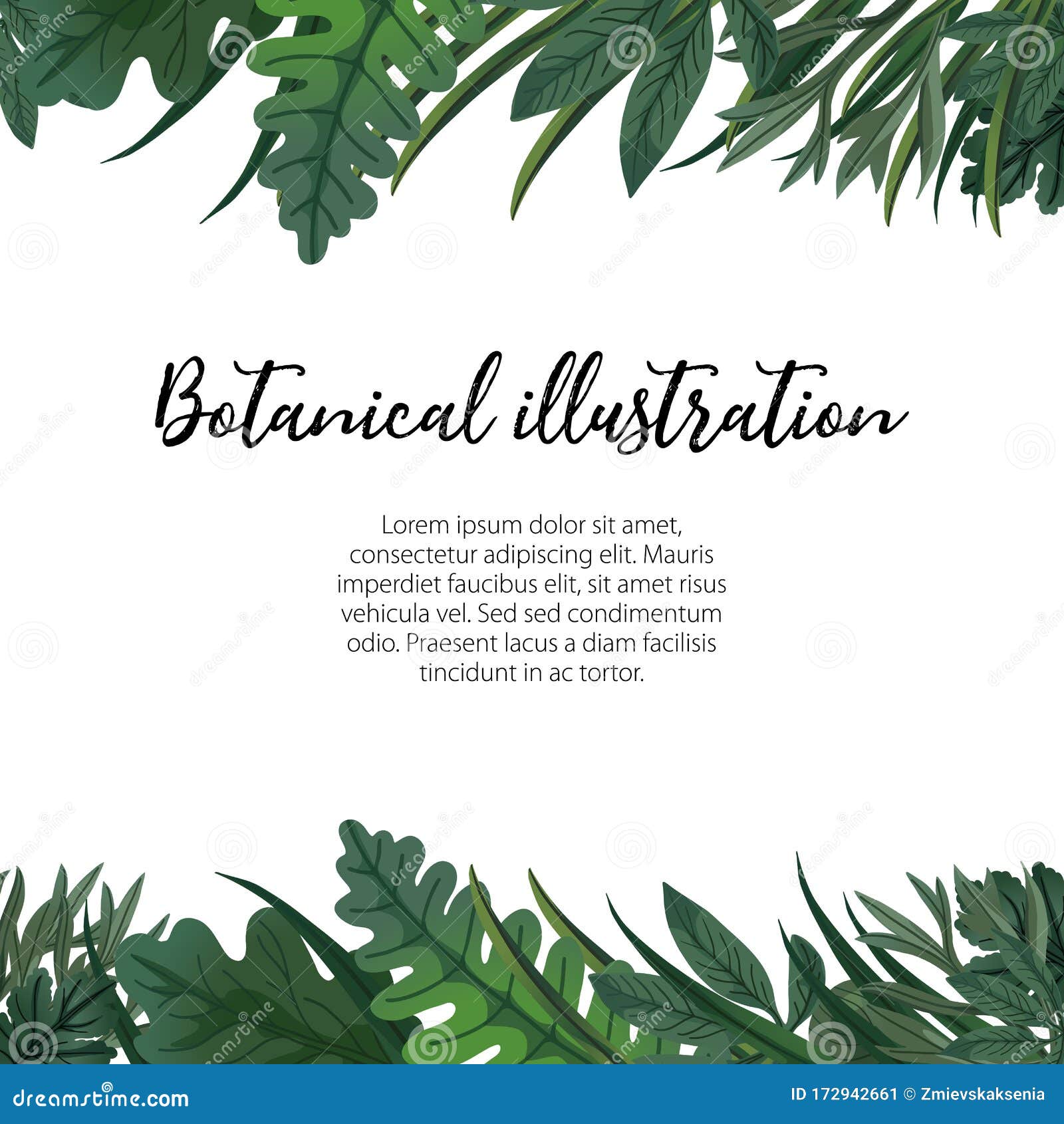 Square Banner Template with Green Leaves. Vector Green Leaves Set Stock ...