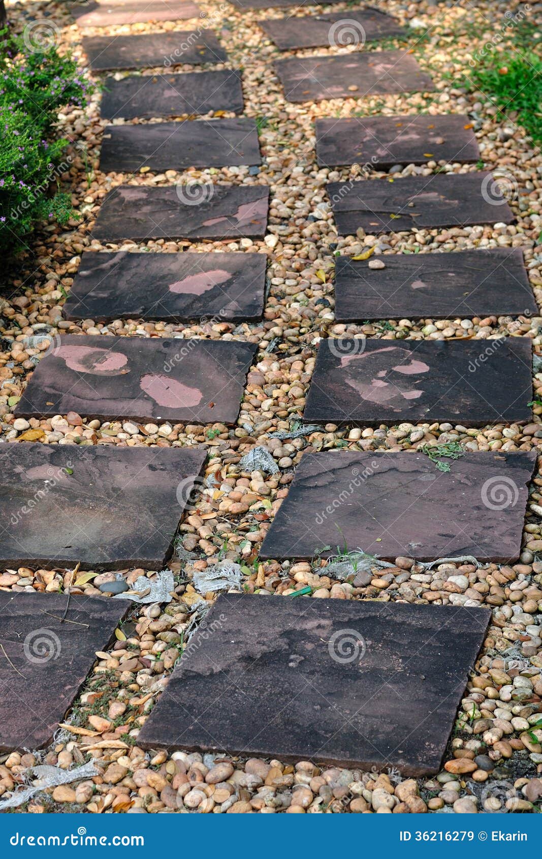 Square Block Walk Way through Garden Stock Image - Image of blossom ...