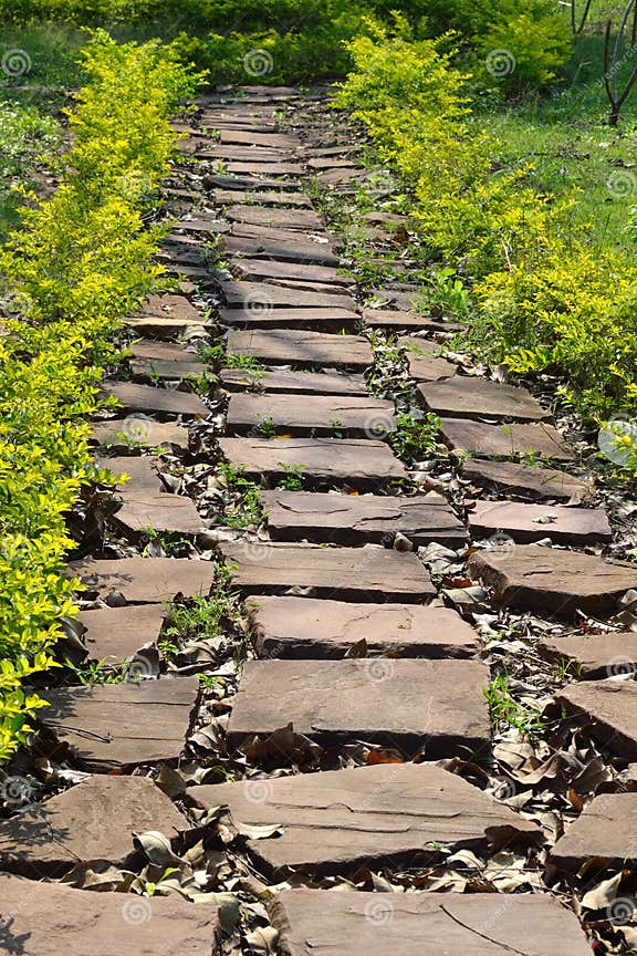 Square Block Walk Way through Garden Stock Image - Image of landscape ...