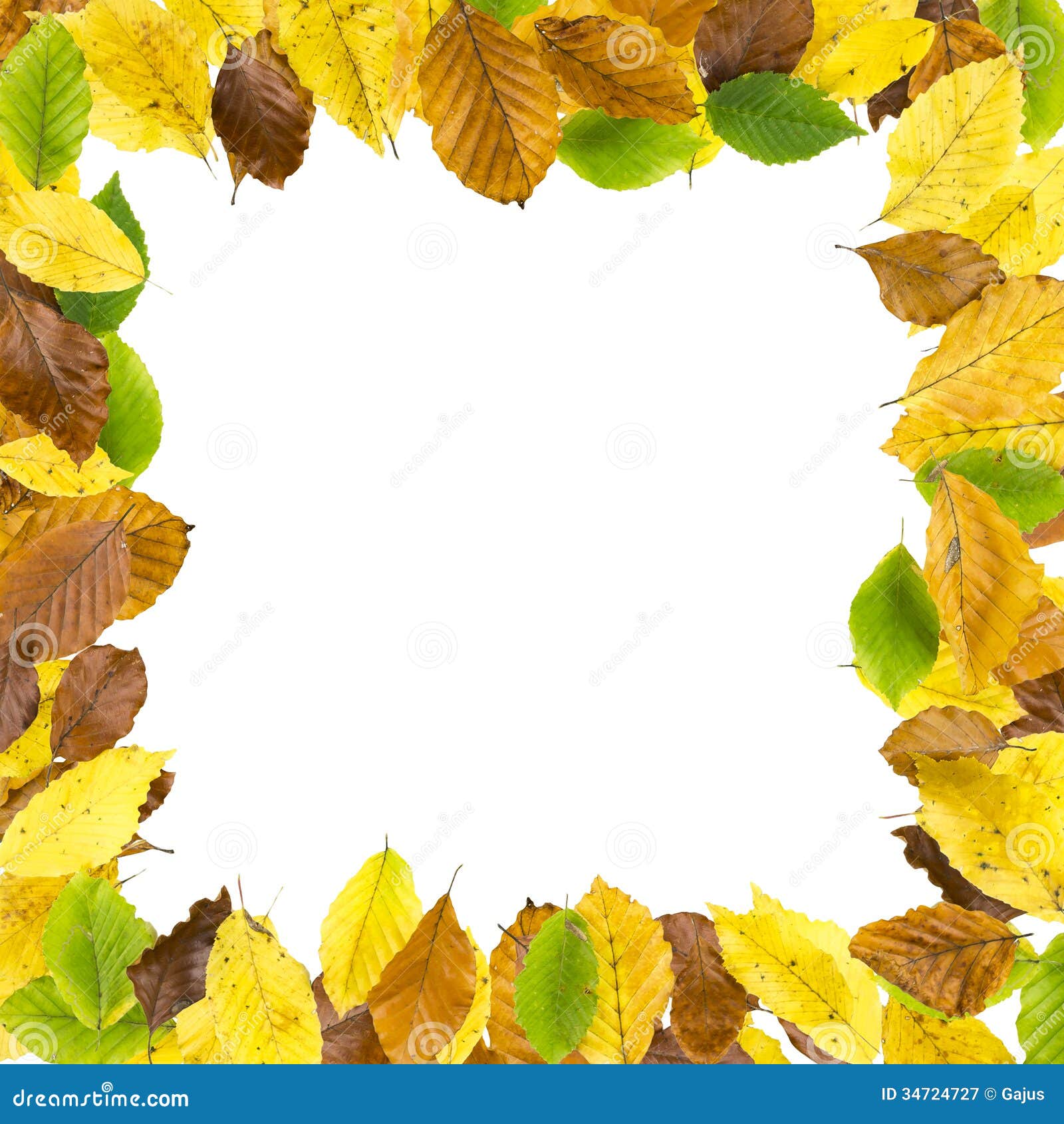 Square Border Frame Of Autumn Leaves Royalty Free Stock Photography ...