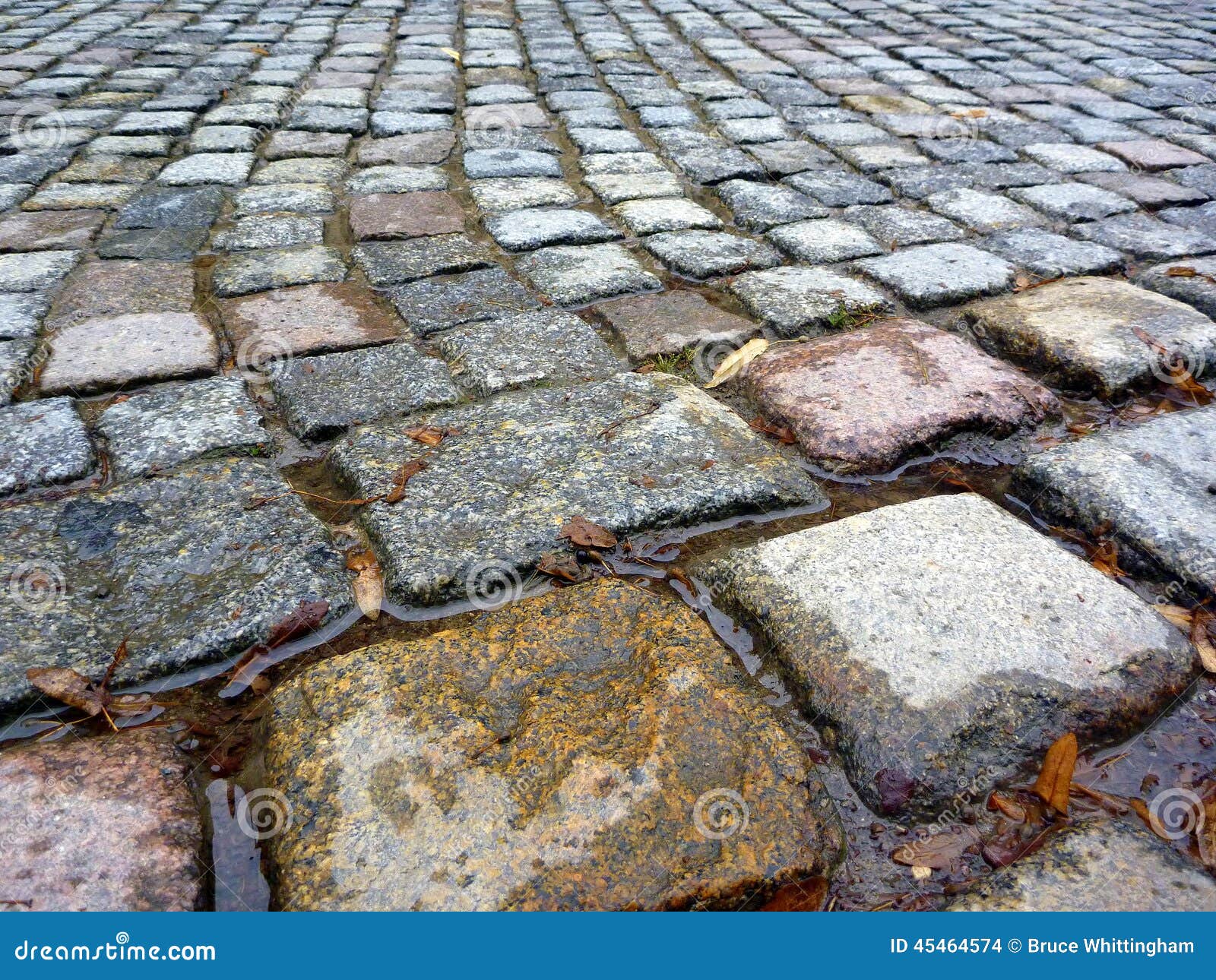 Square Cobble Stones, Dresden Stock Photo - Image of cobble, germany ...