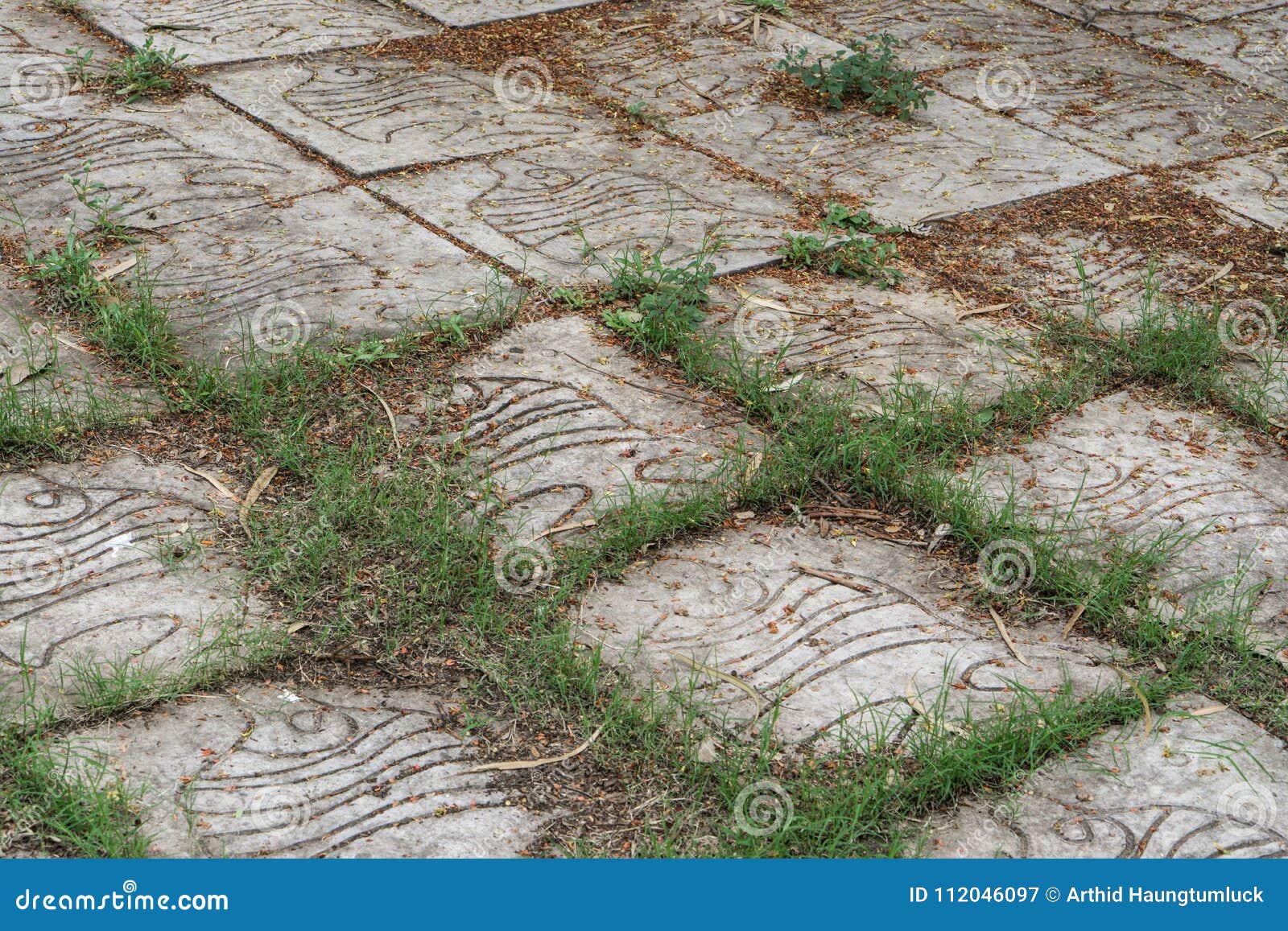 Square Concrete Grass Pattern Background Texture Stock Image - Image of ...
