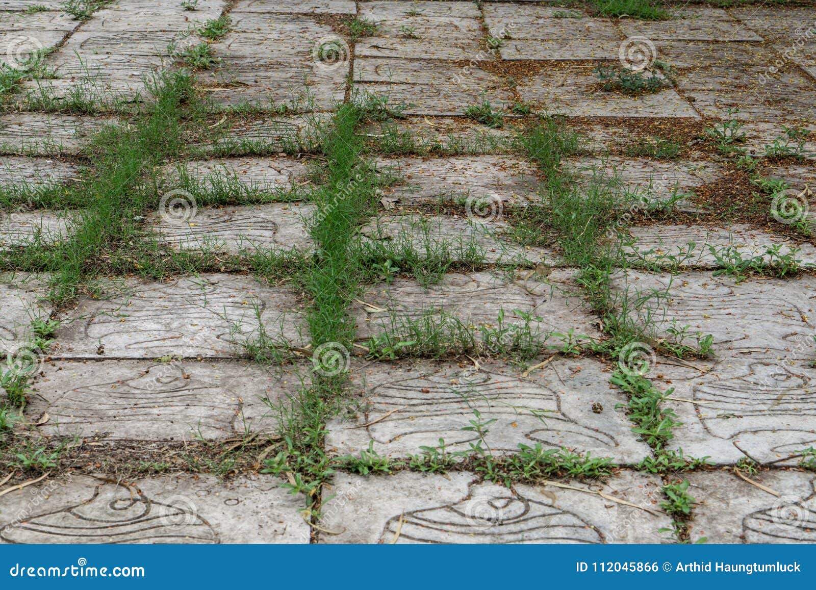 Square Concrete Grass Pattern Background Texture Stock Photo - Image of ...