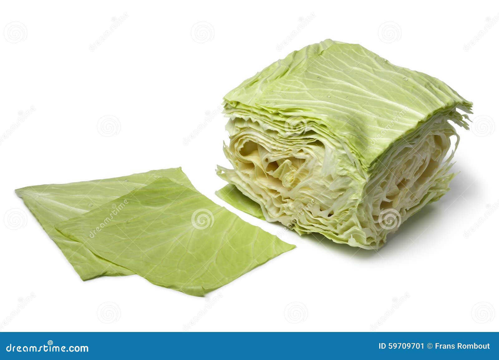 Square Coolwrap Cabbage Leaves Stock Image - Image of studio ...